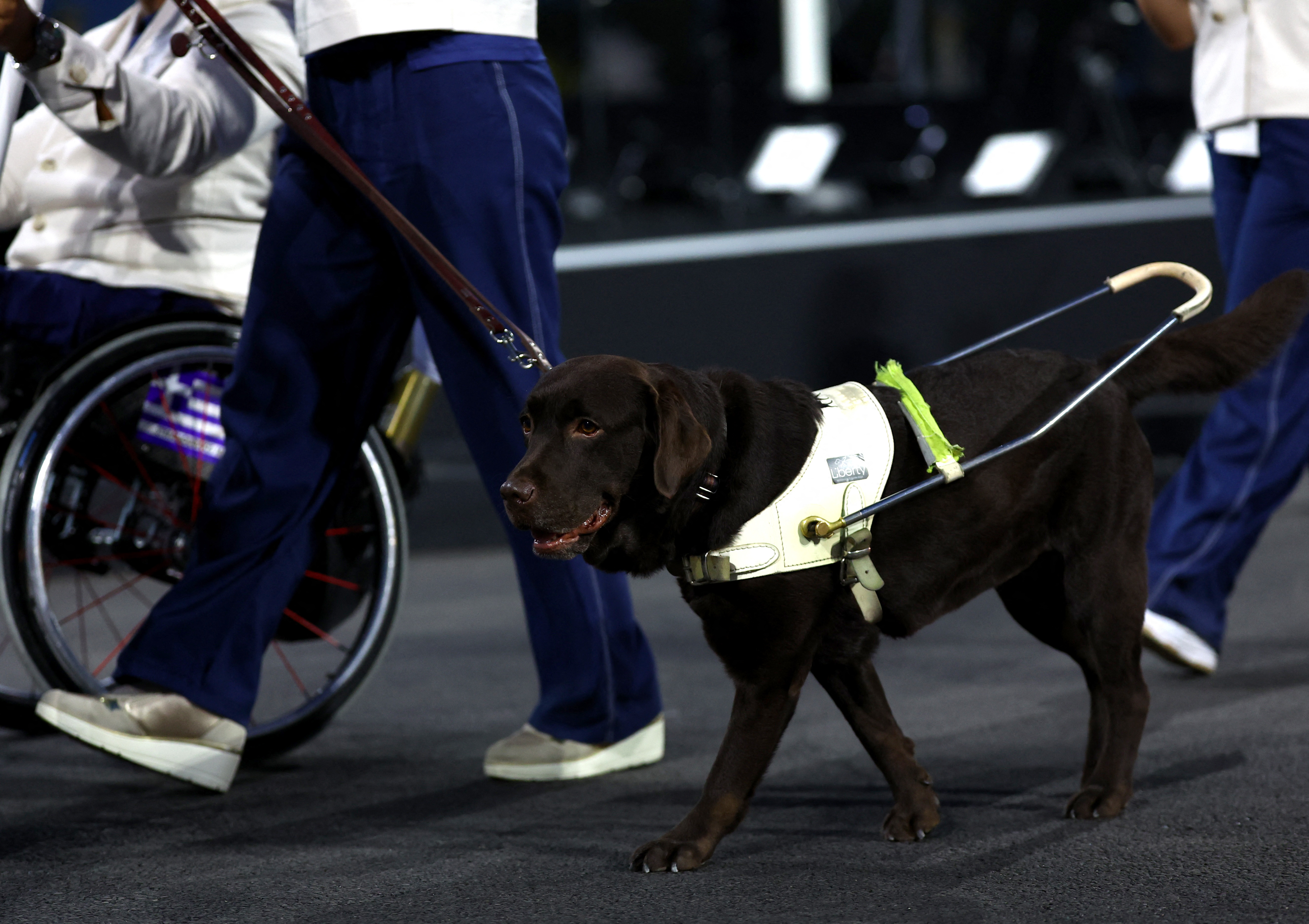 In pictures: Paris Paralympics opening ceremony - August 28, 2024 | Reuters