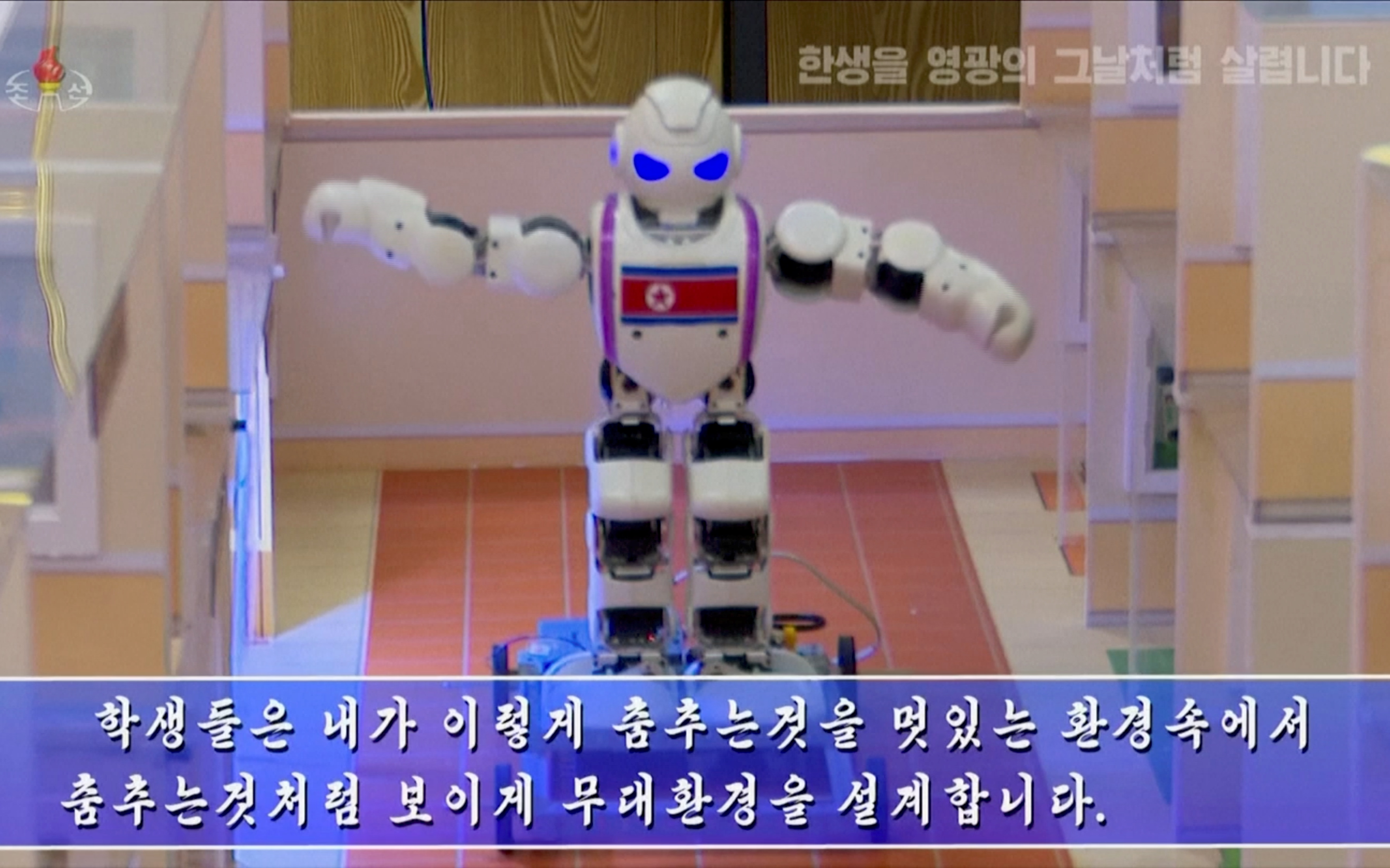 North Korea seeks to boost education with toy-like robots | Reuters