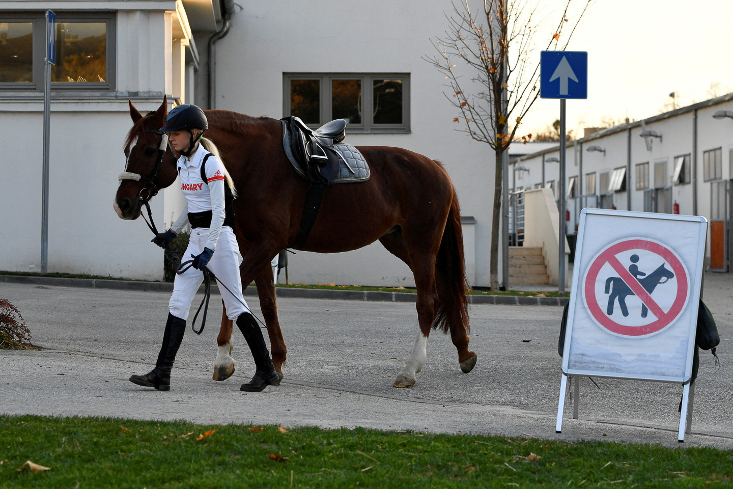 Move from horses to courses will put modern into pentathlon: UIPM chief ...