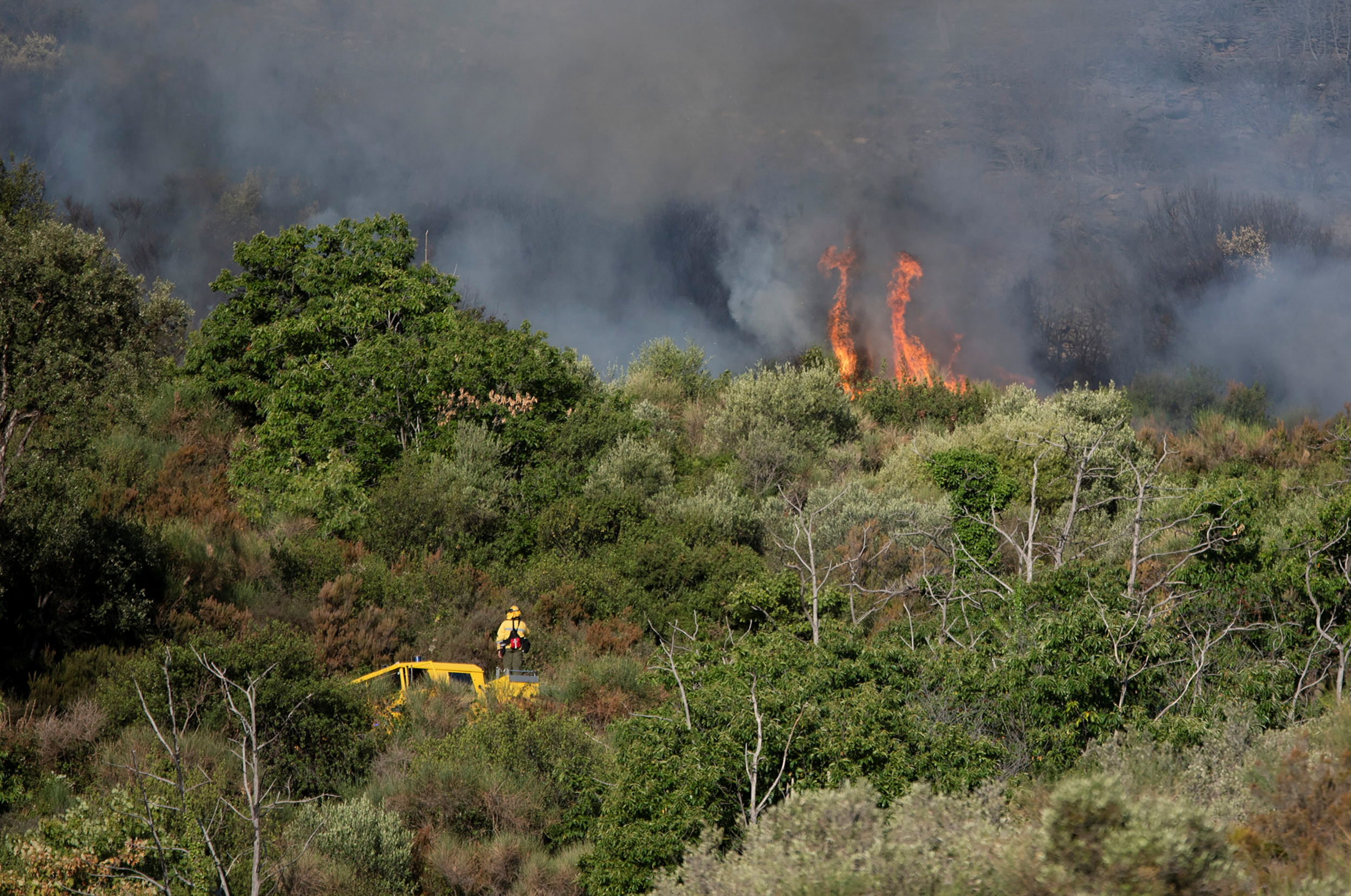 Wildfire in Spain's Costa Brava forces hundreds from their homes | Reuters