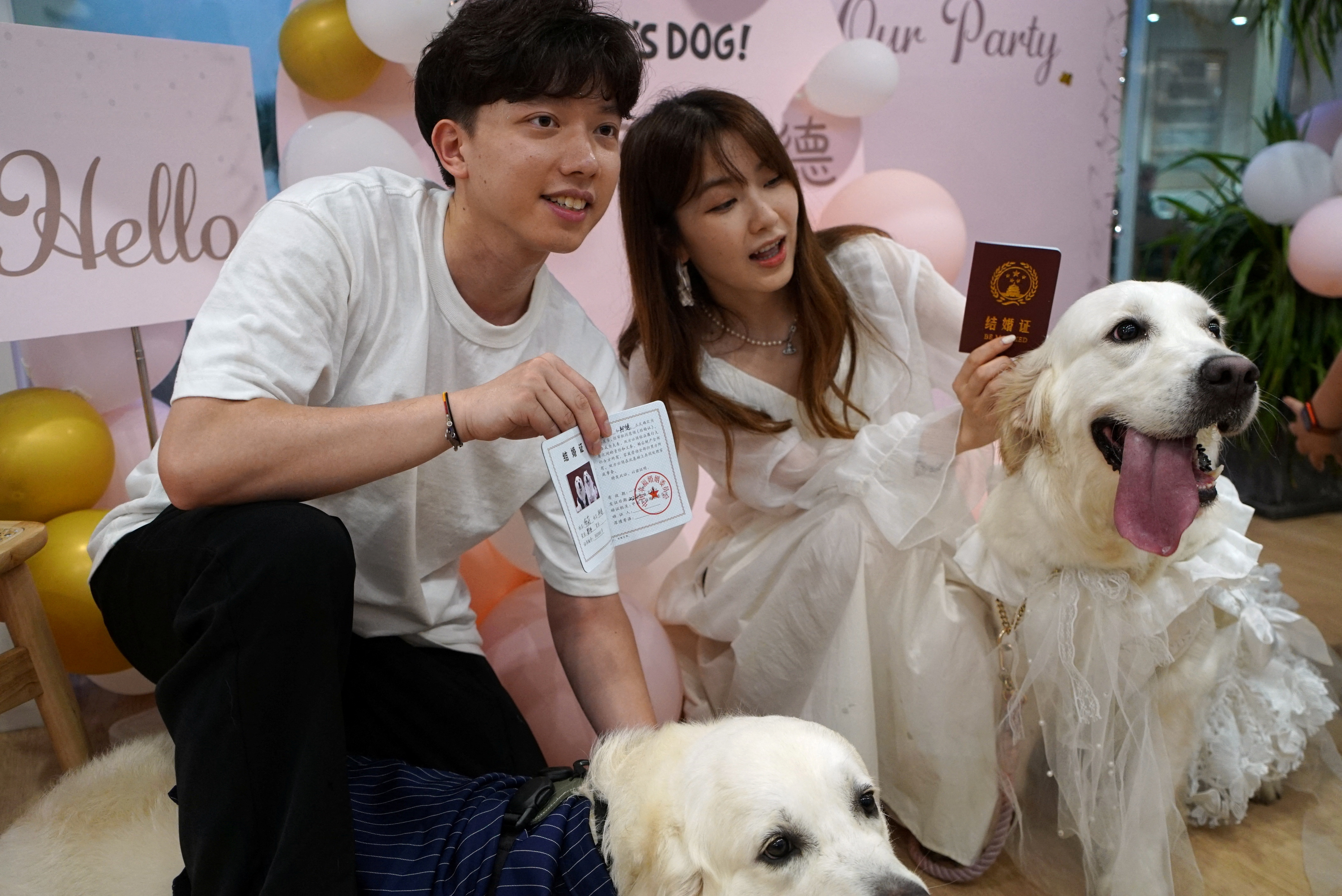 Puppy love: Canine weddings on the rise in China | Reuters