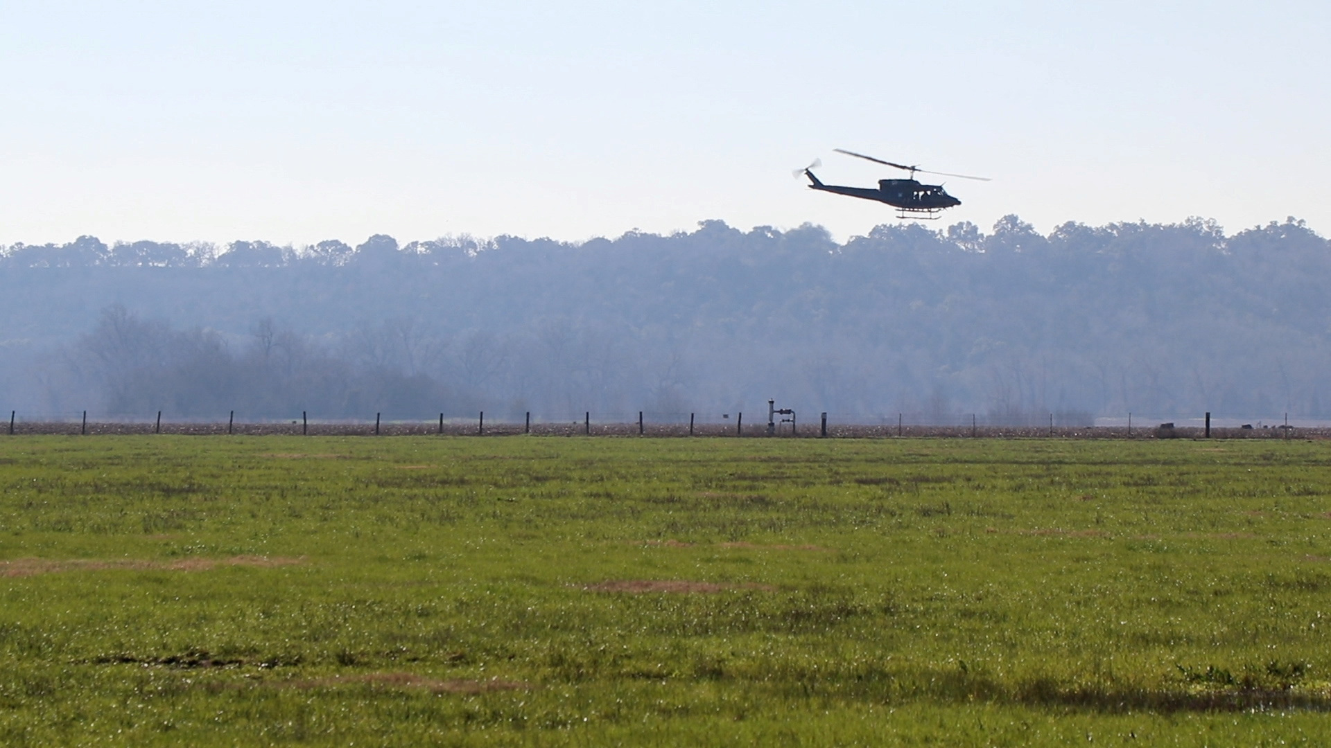 In Texas, hunters shoot feral pigs from helicopters | Reuters