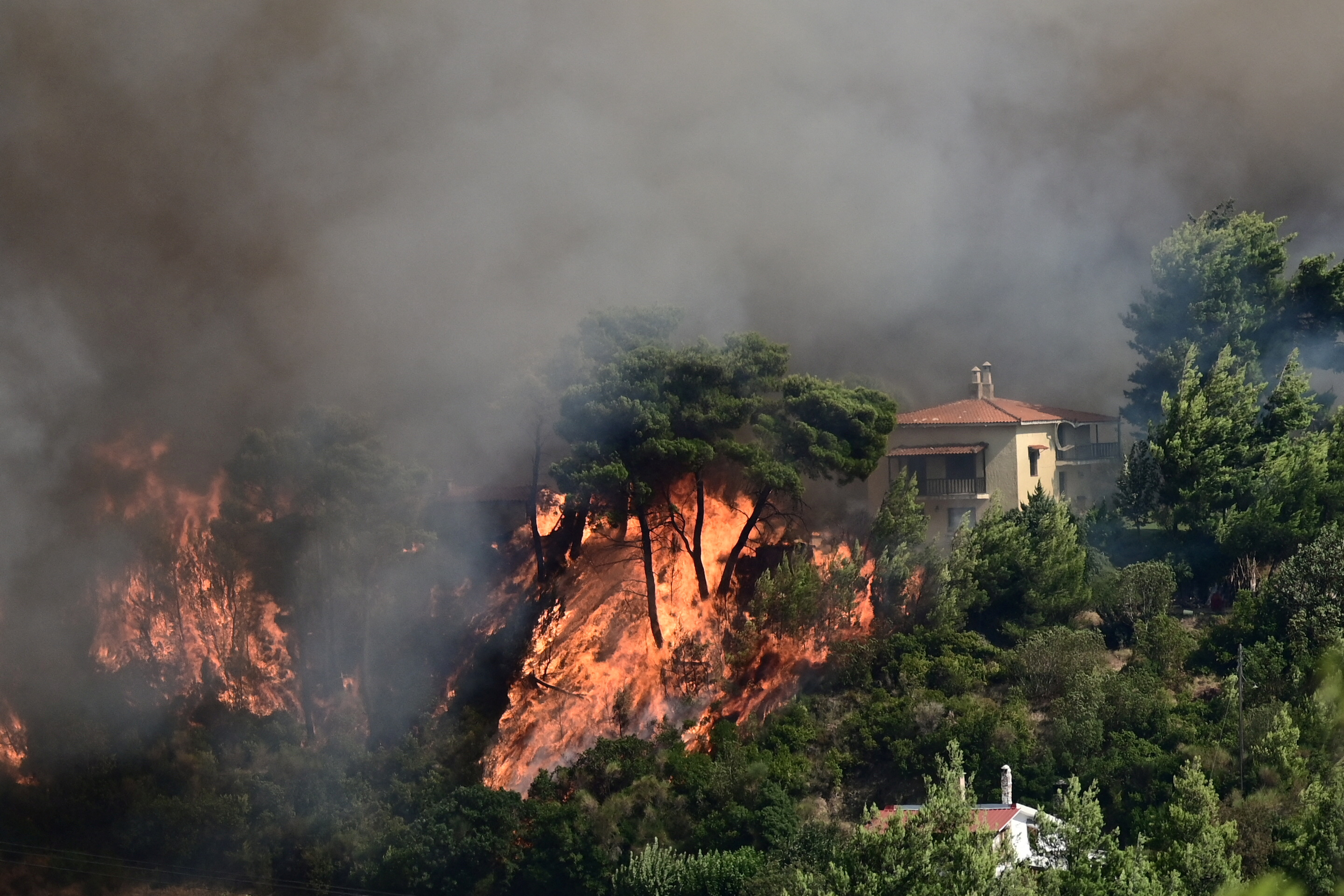 In pictures: Greek wildfire spreads to edge of Athens - August 12, 2024 ...
