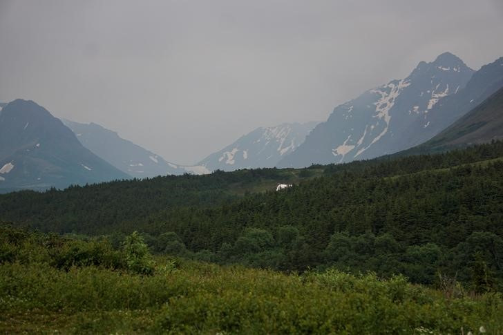 Alaska sues US government to contest Tongass forest protections | Reuters