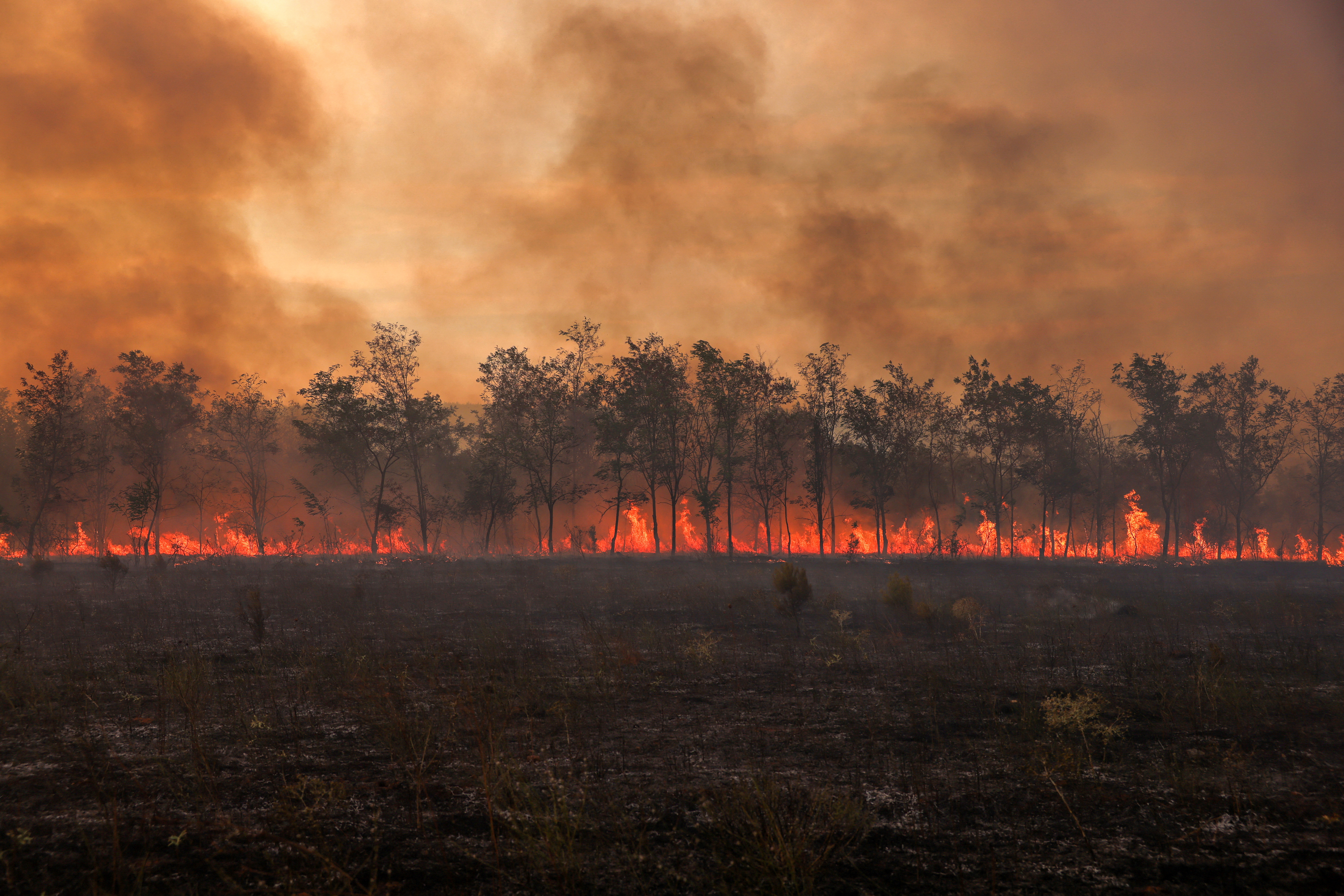 'Climate highway to hell': Scenes from a year of rising temperatures ...