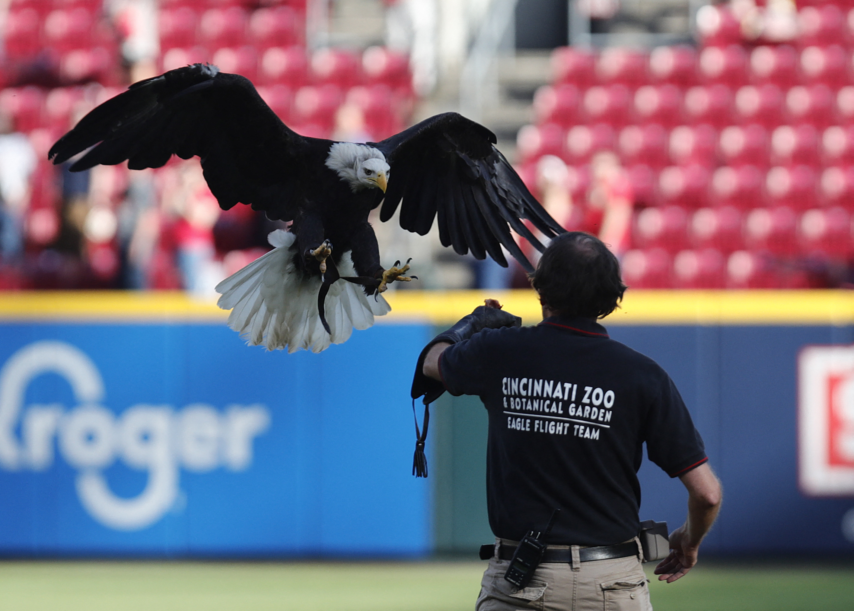 Elvis Andrus, Luis Robert Jr. homer White Sox past Reds | Reuters