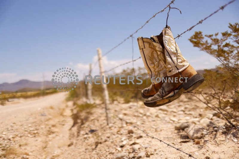 'We need rain': Mexican farmers ravaged by northern drought | Reuters