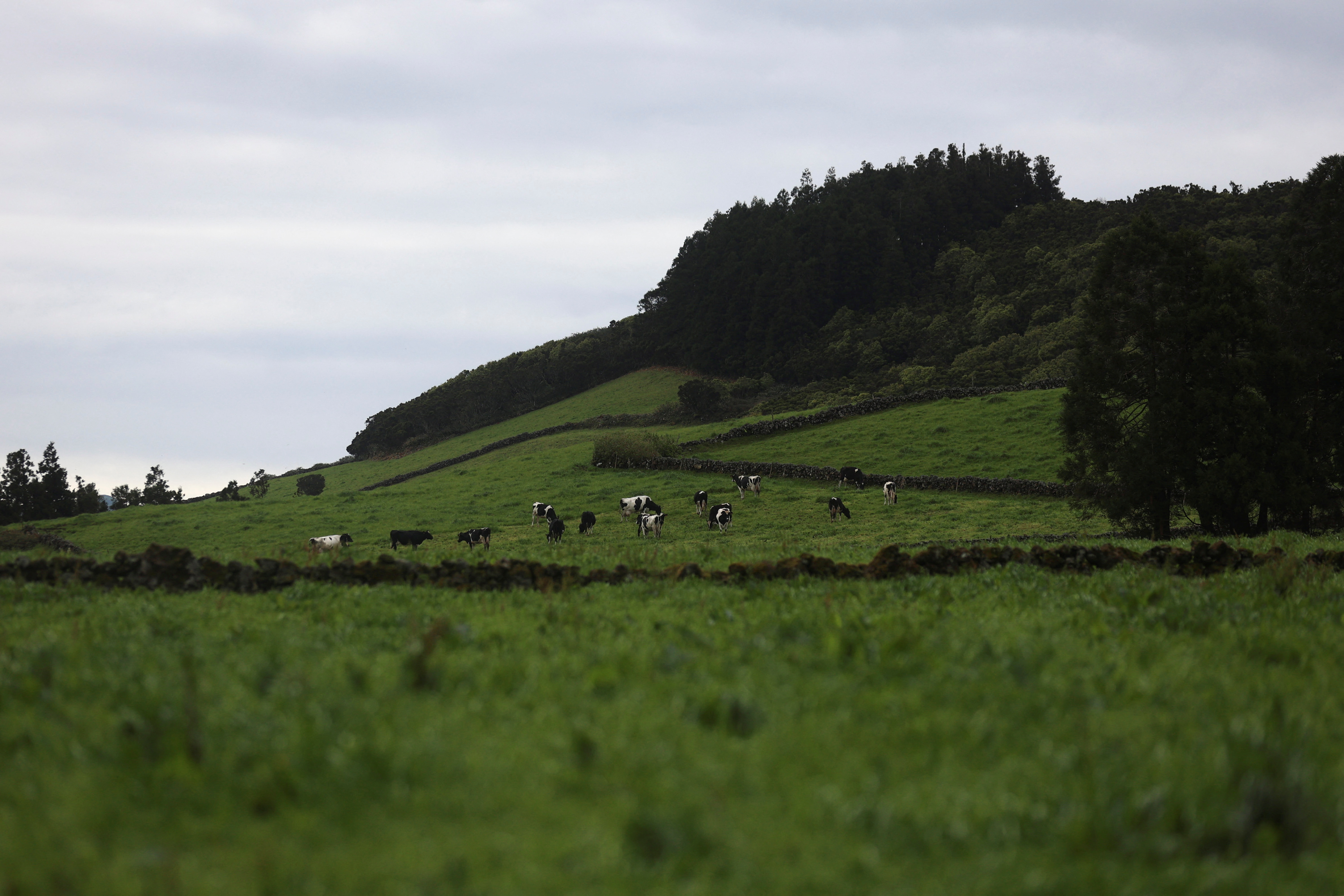 Seismic activity on Azores volcanic island remains above normal levels ...
