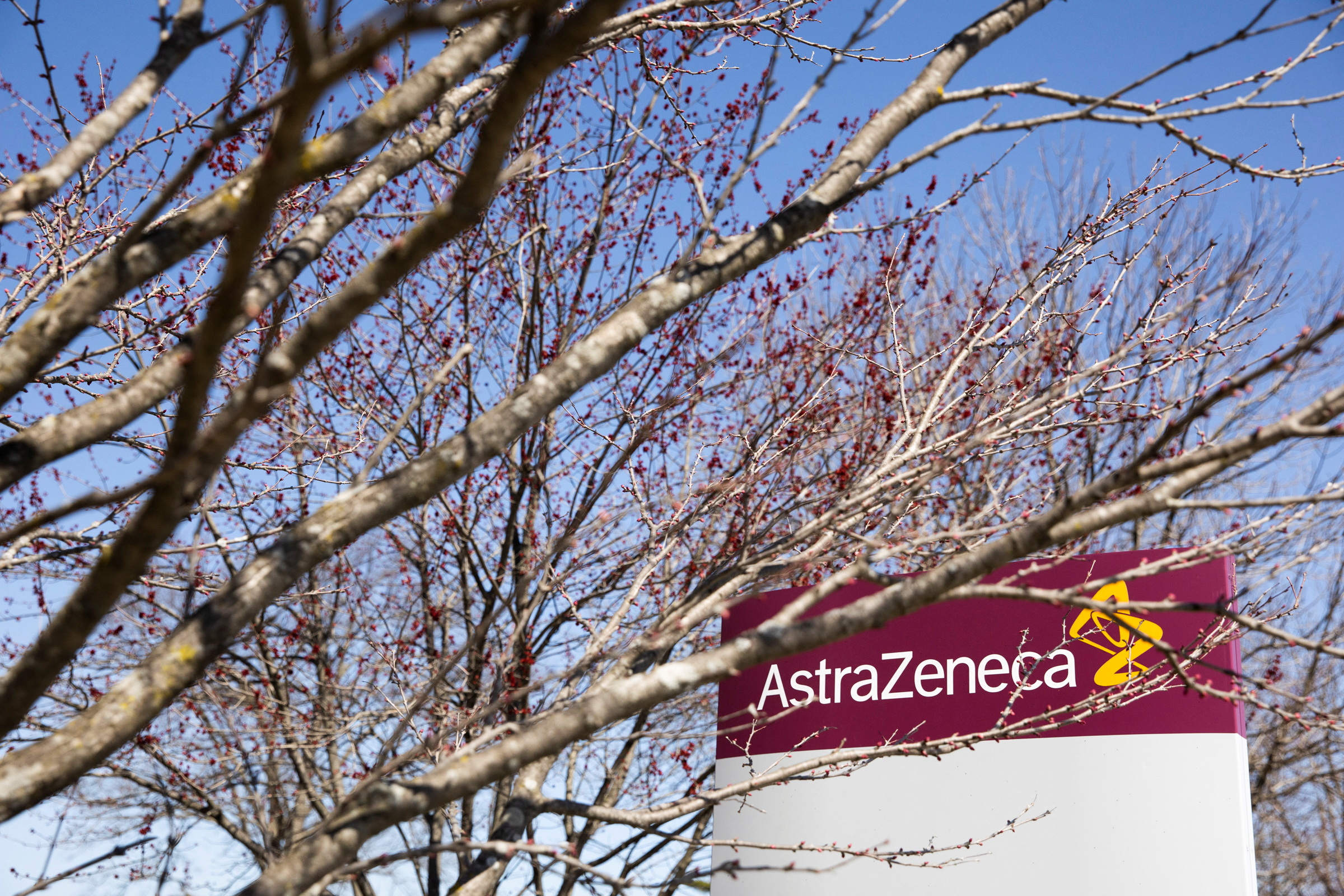US FDA approves Ionis-AstraZeneca's nerve disease drug | Reuters