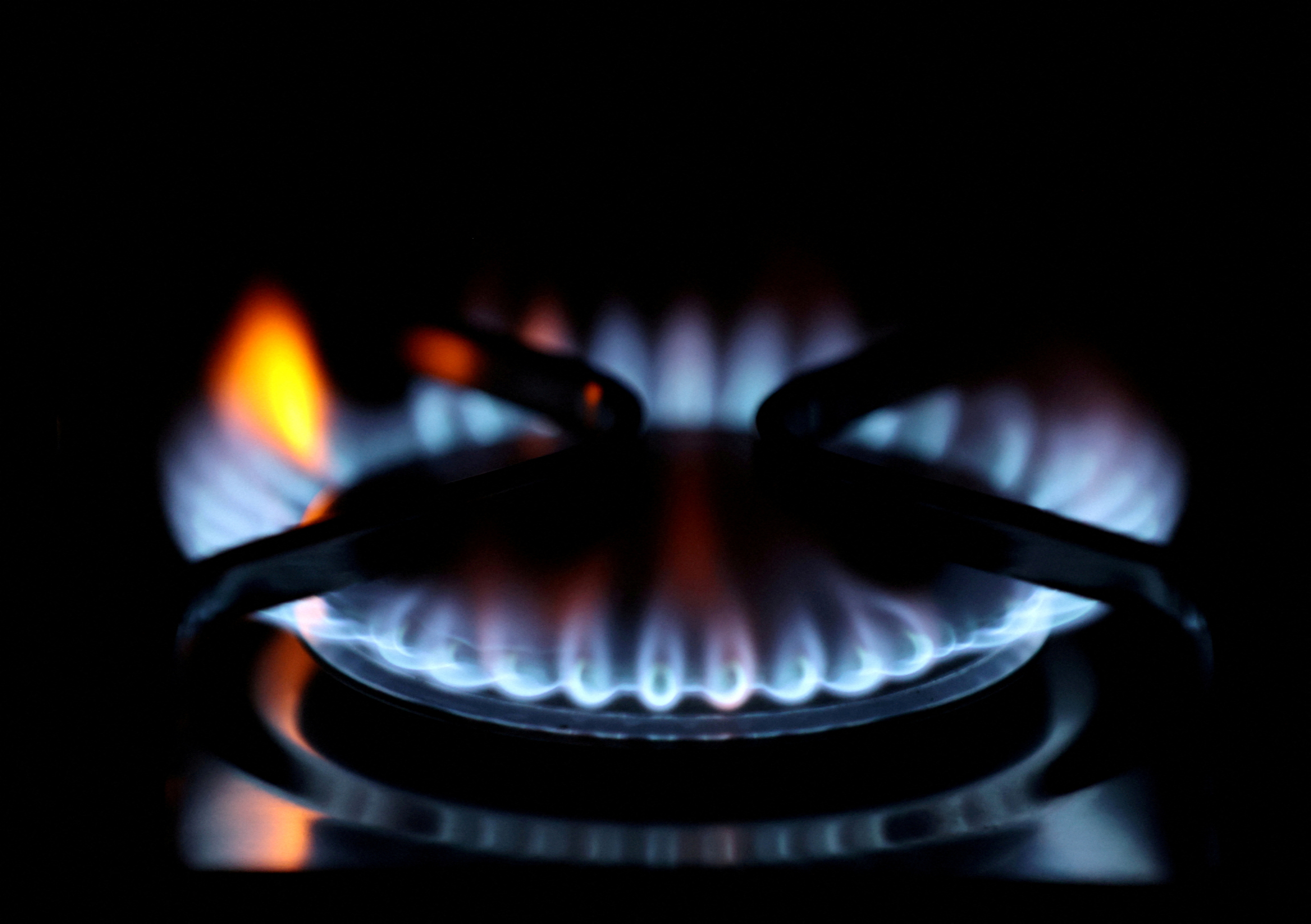 British households should cut energy use where possible this winter ...