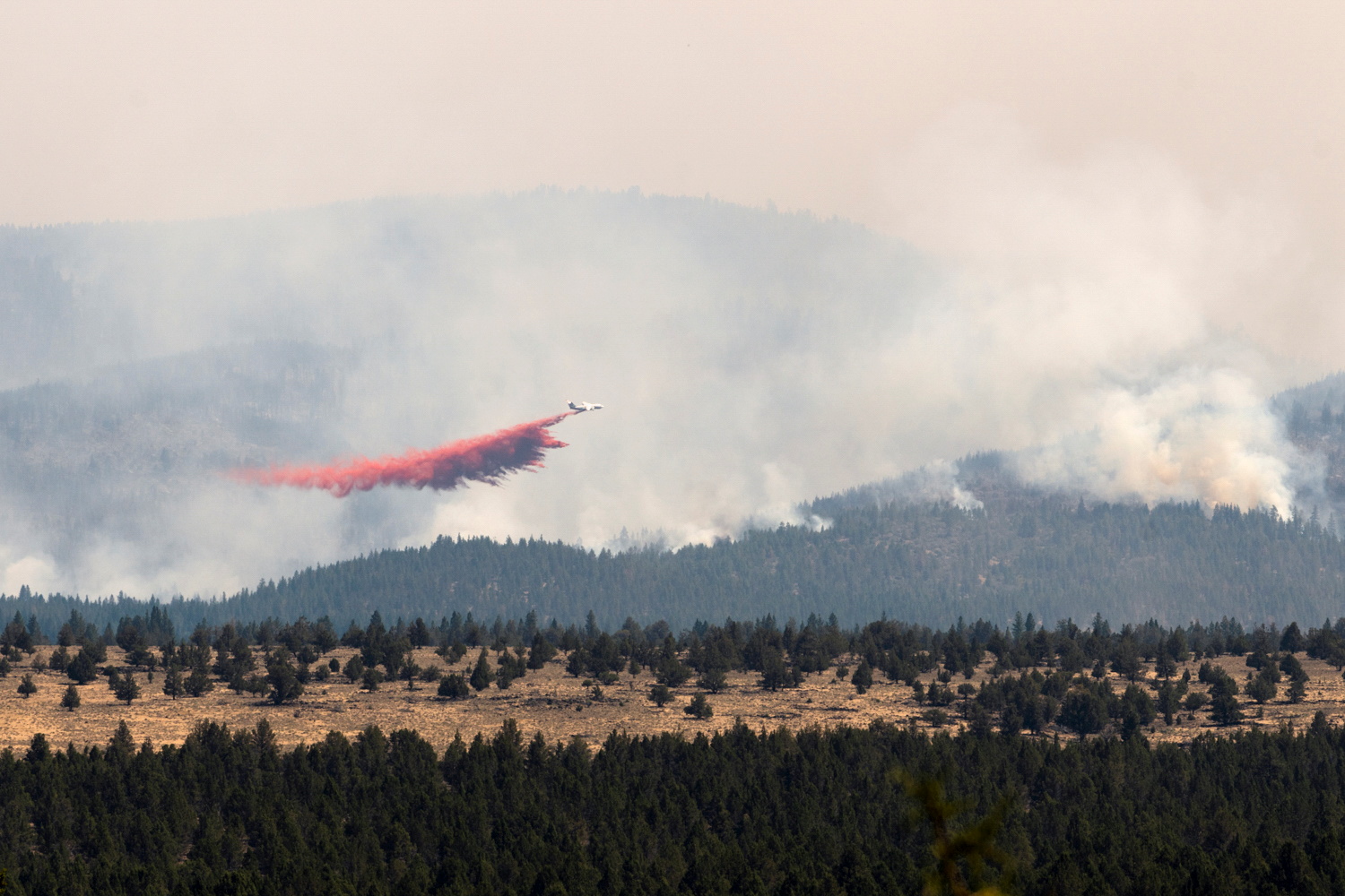 Sprawling Oregon wildfire, largest of dozens in U.S., continues to grow ...