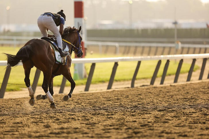 Horse racing-Judge halts implementation of safety law in Louisiana and ...