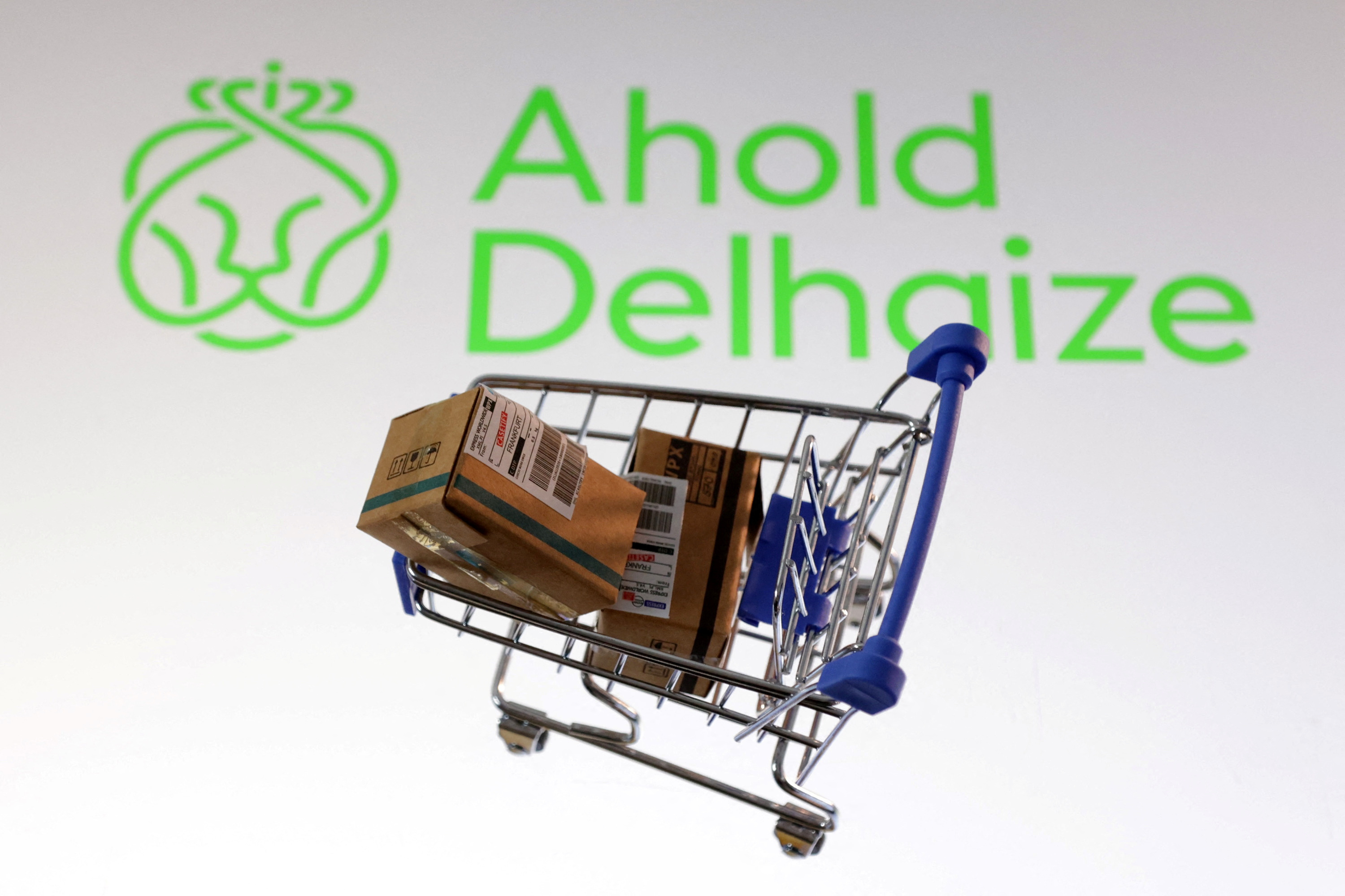 Delhaize Significado Logo