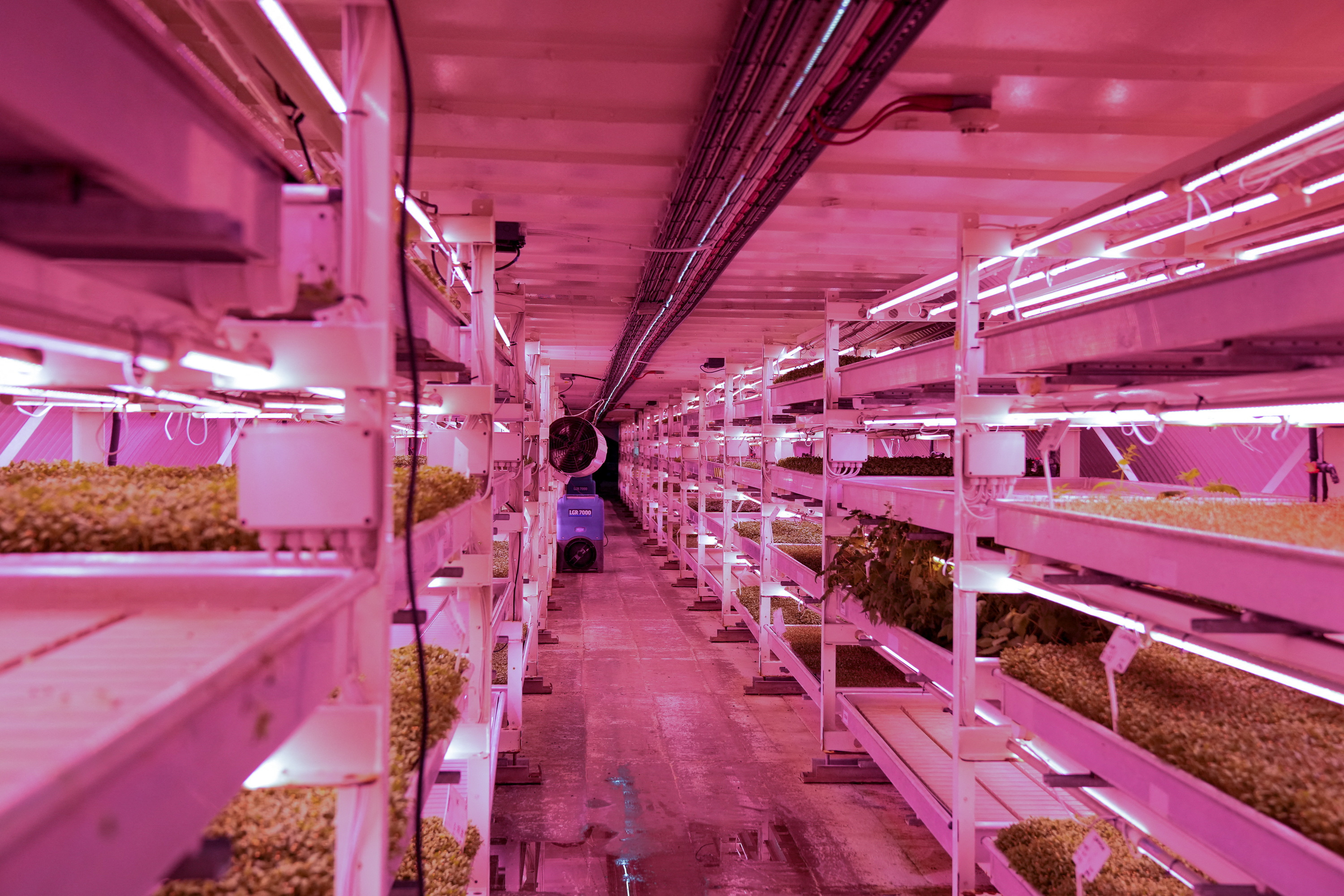 Food of the future: London air raid shelter to underground farm | Reuters