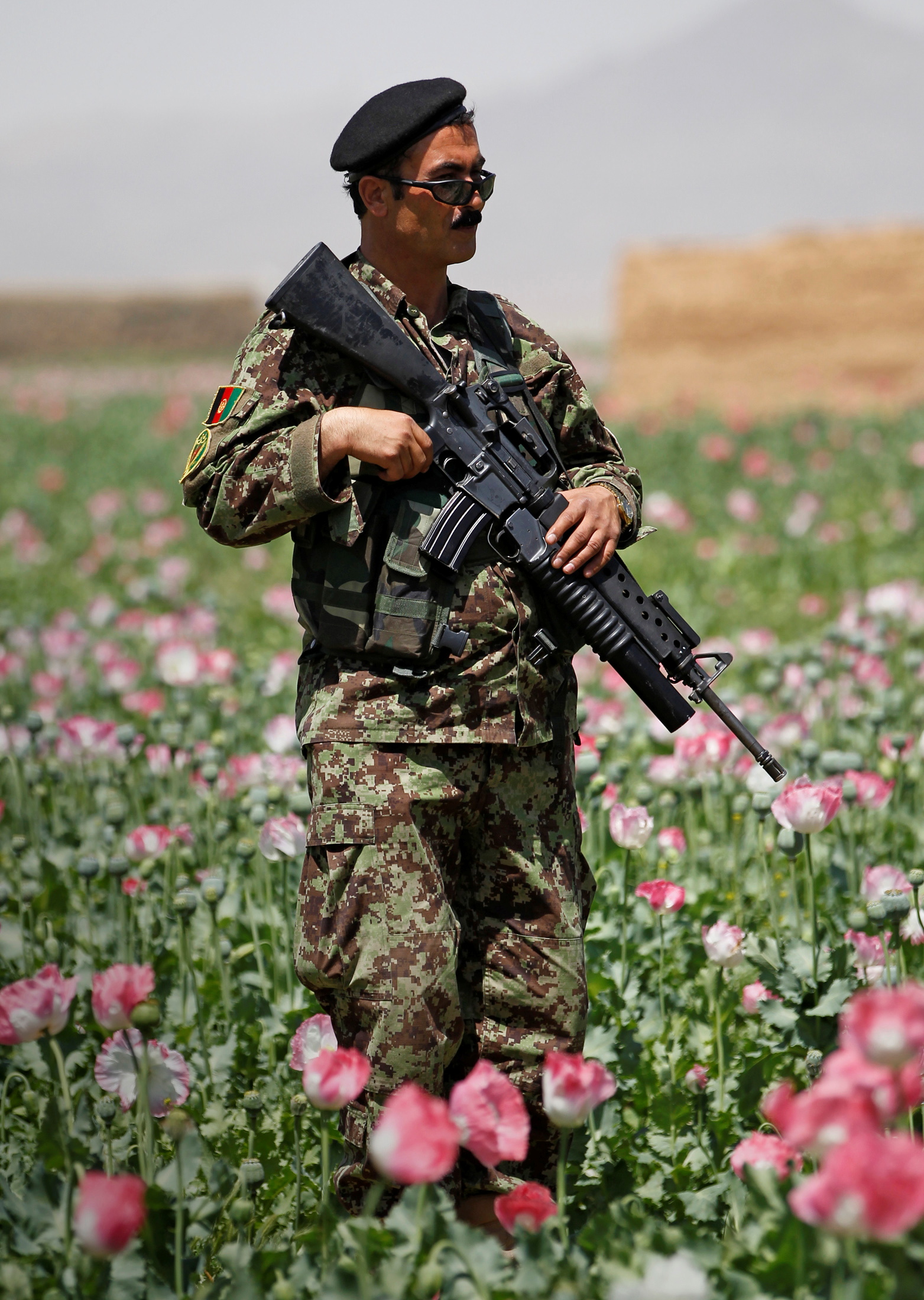 Anti-laundering unit goes off-grid, fraying Afghan ties to global ...