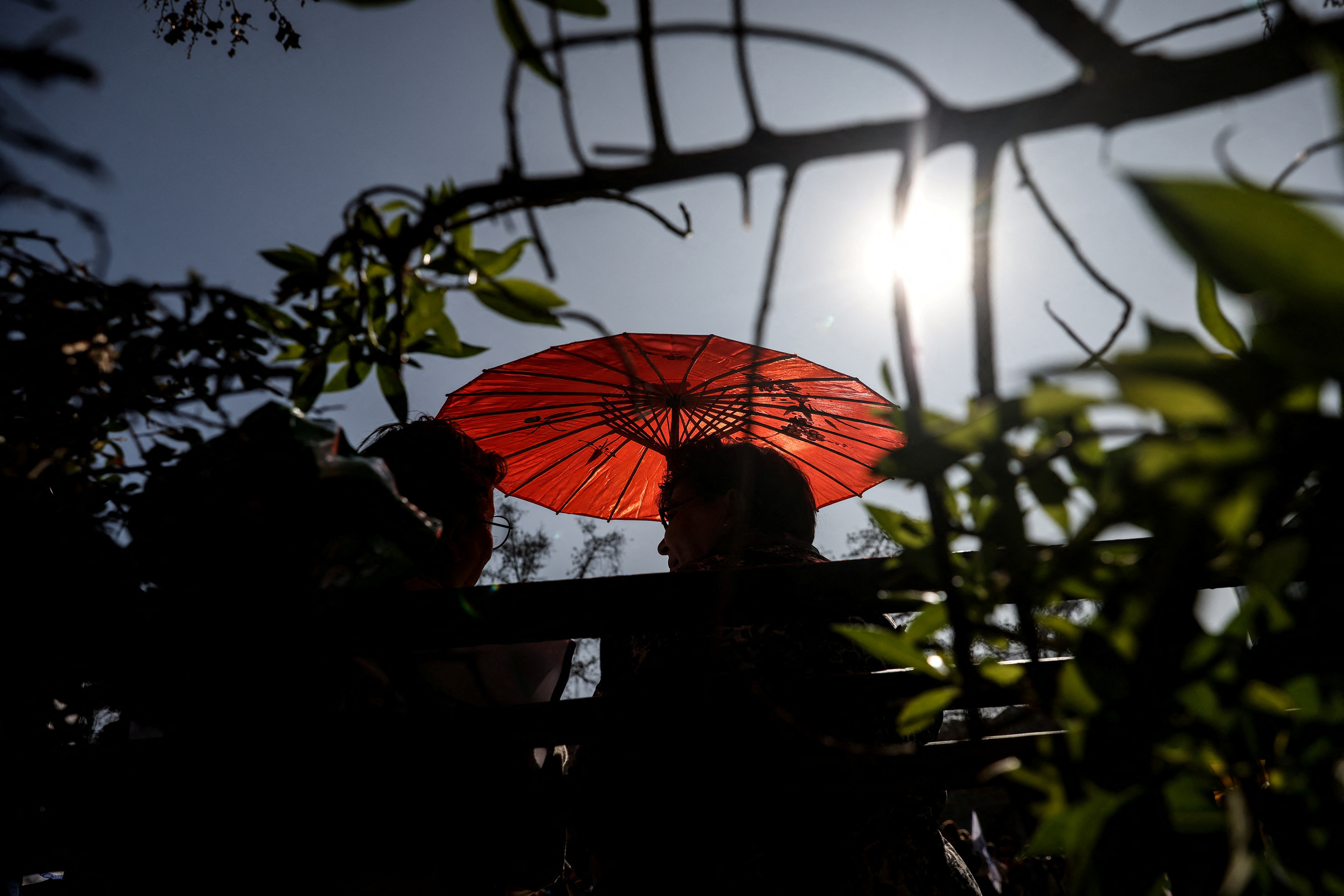 Winter heat wave in Chile offers 'window' to warmer world | Reuters