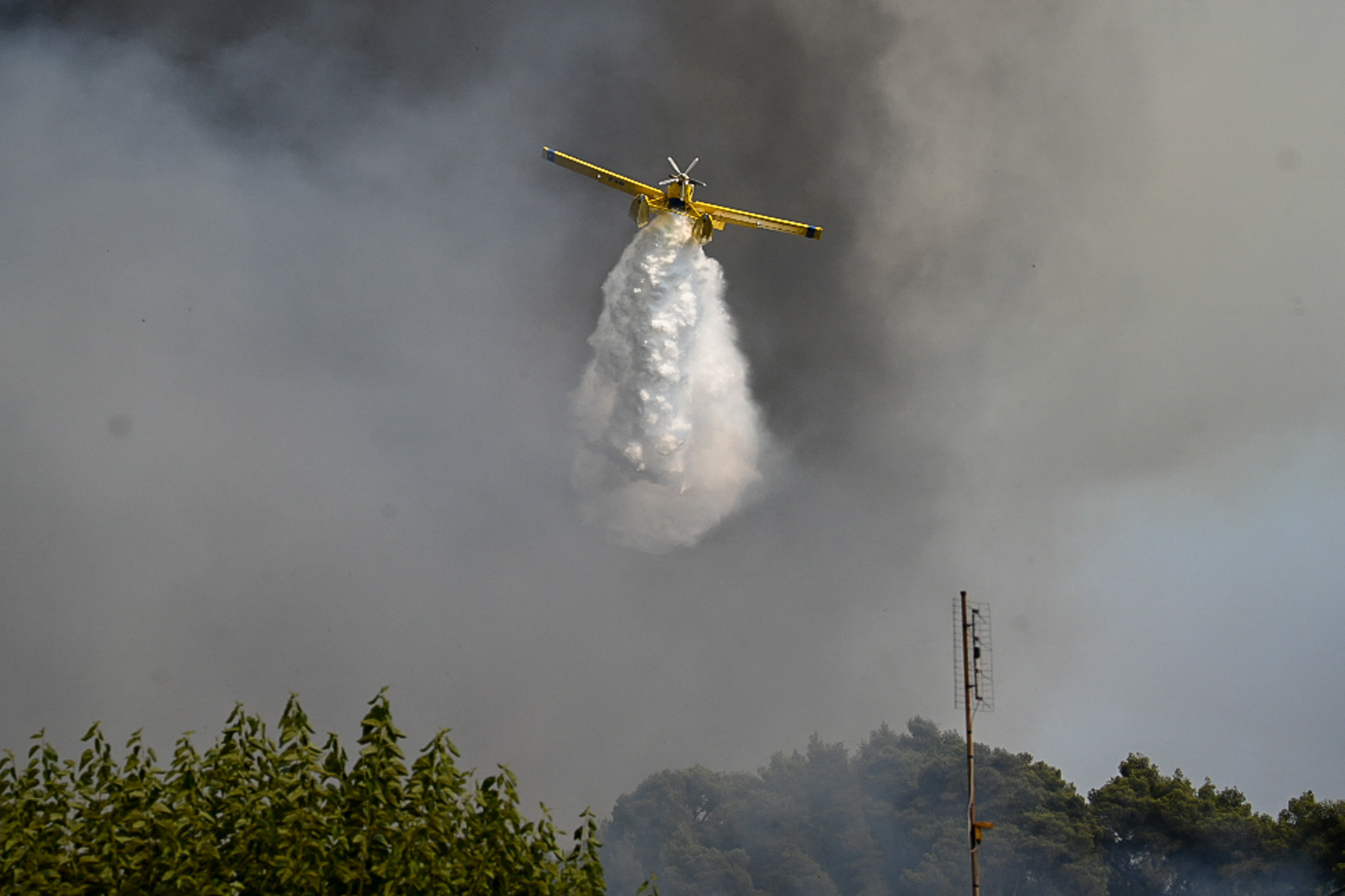 Wildfires burn coastal homes, forests in Greece as Europe's heatwave ...