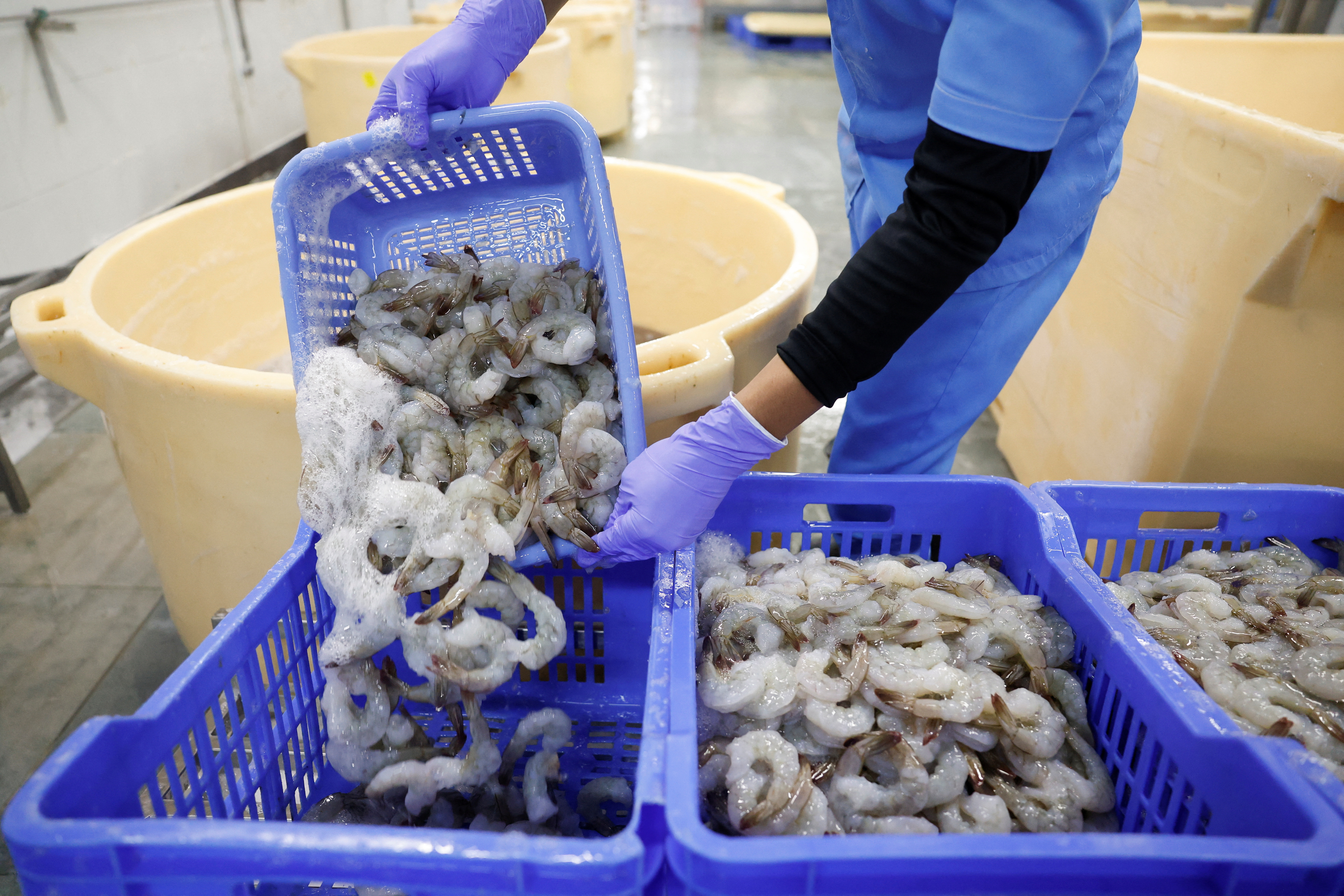 Shrimping Industry