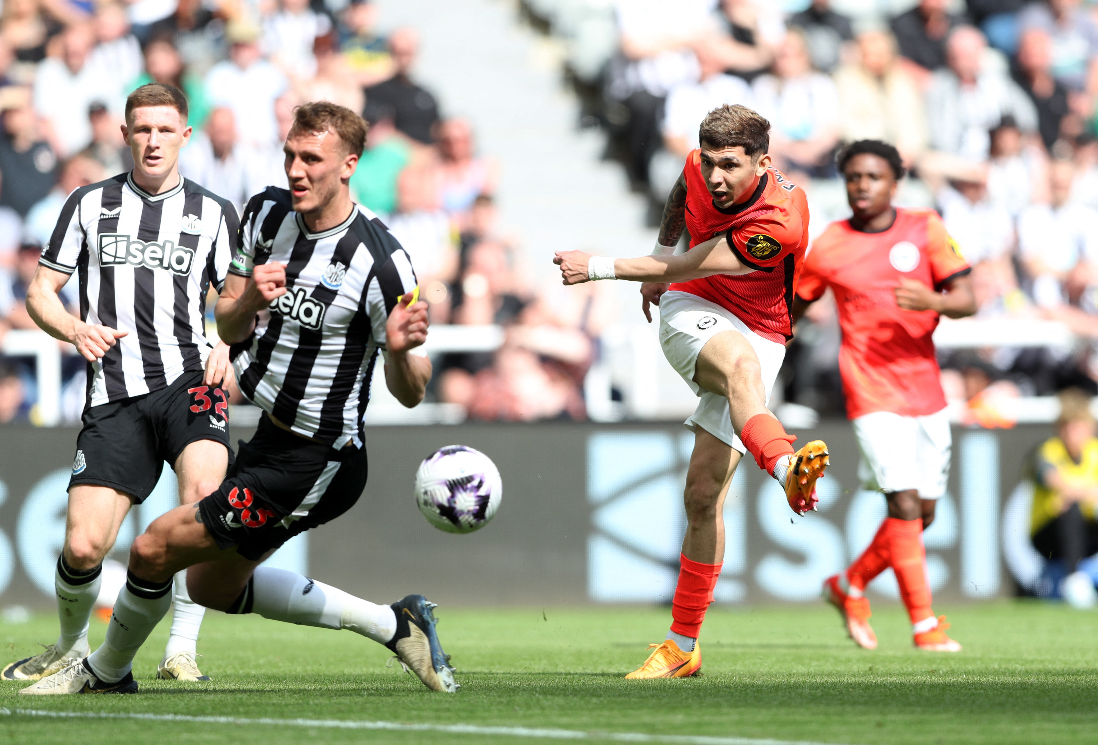 Newcastle edge towards Europe after 1-1 draw with Brighton | Reuters