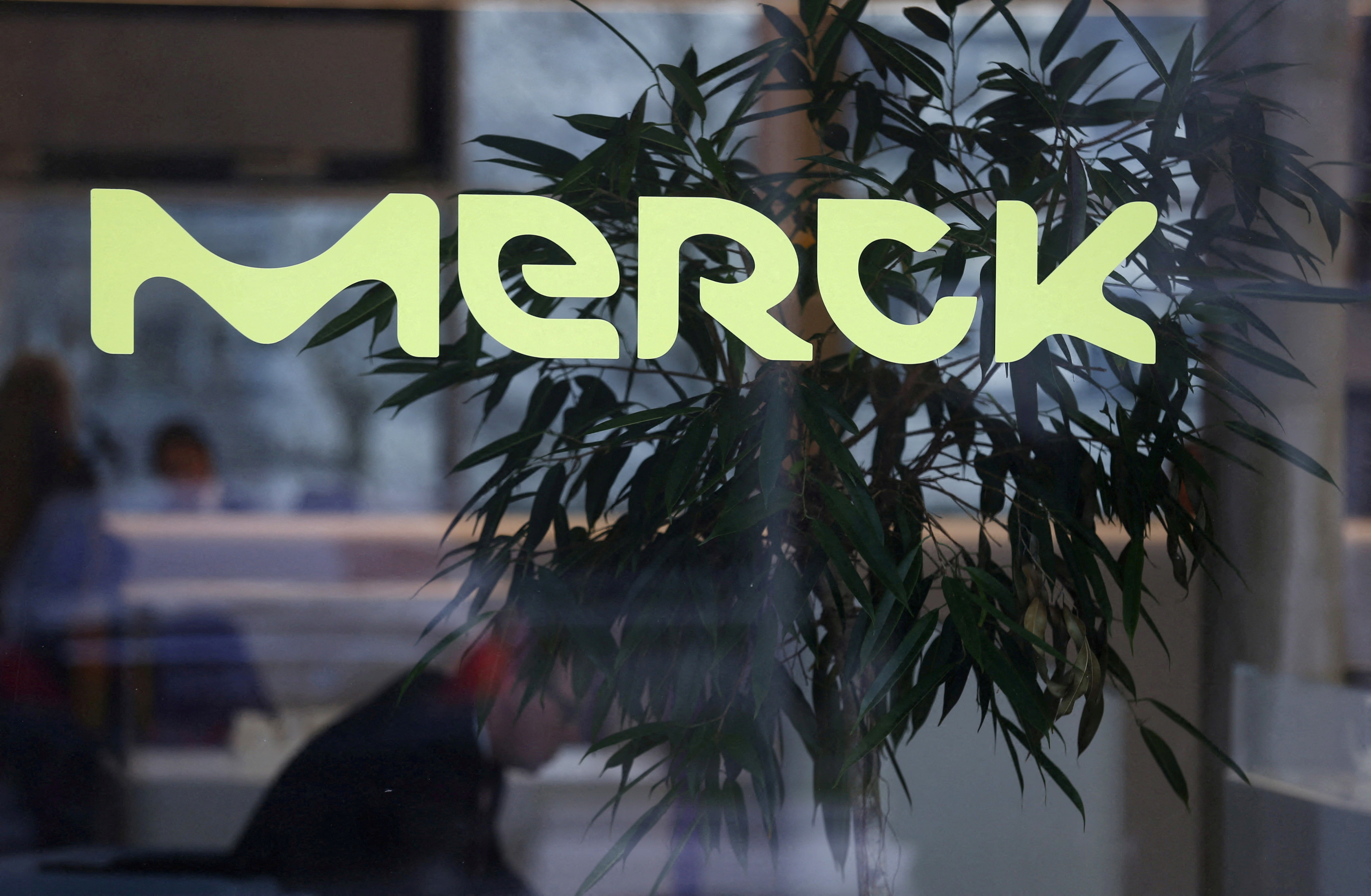 Merck Group Merck KGaA's Lupus Drug Fails In SLE Cohort Of Phase II