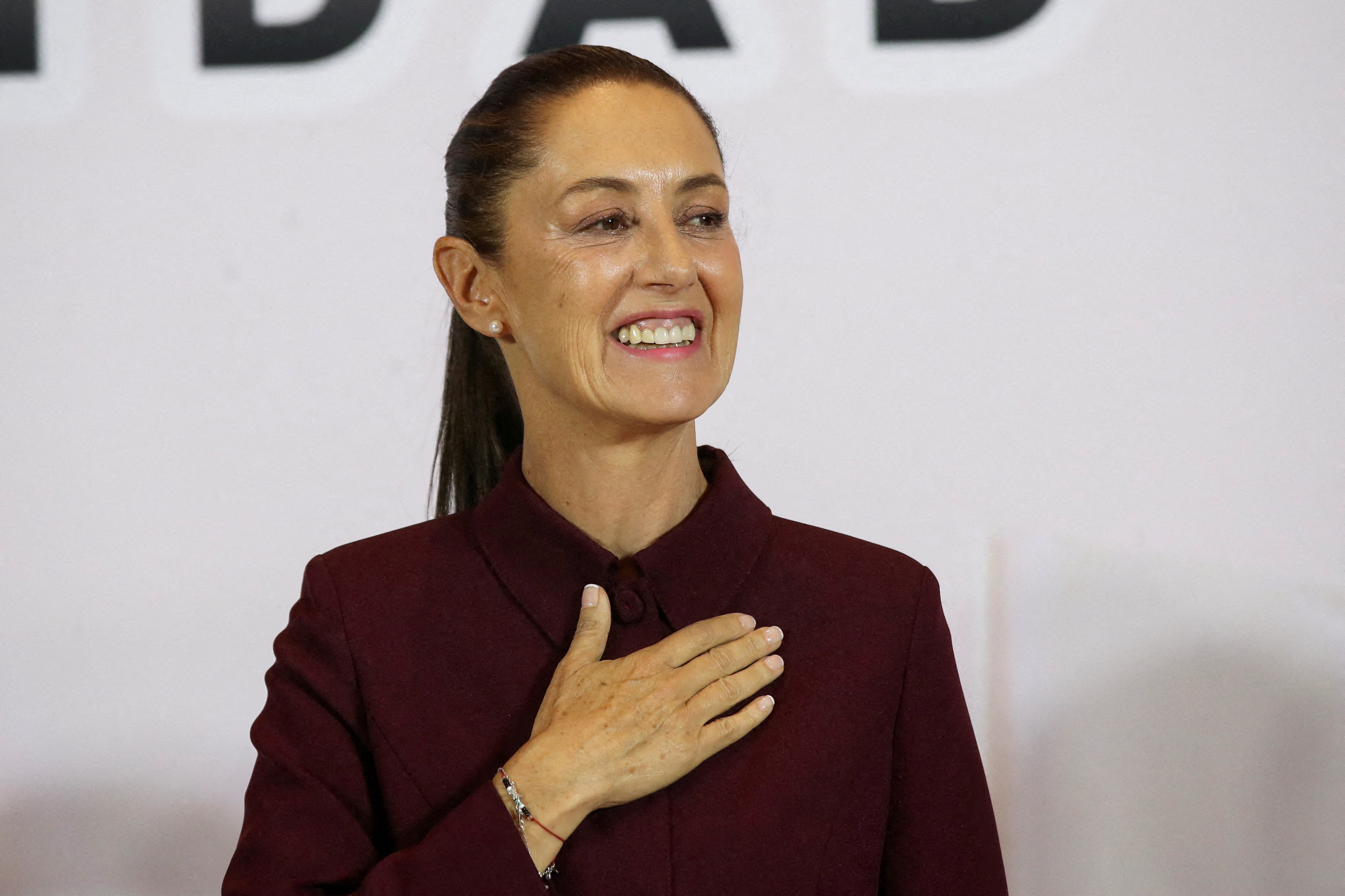 Mexico's Sheinbaum leads rivals for ruling-party candidacy, poll shows ...