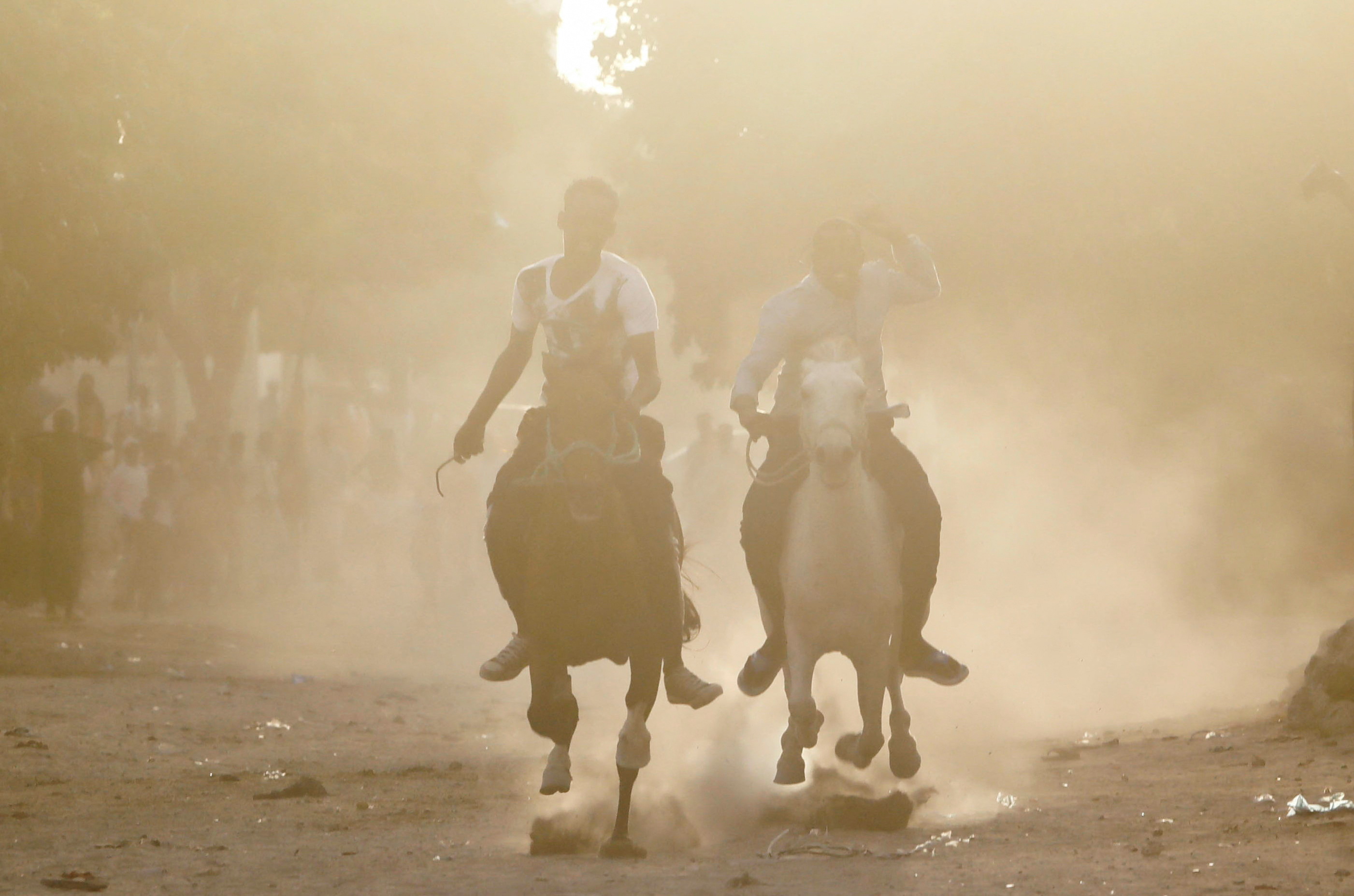 Somali capital opens first horse riding stable in decades | Reuters