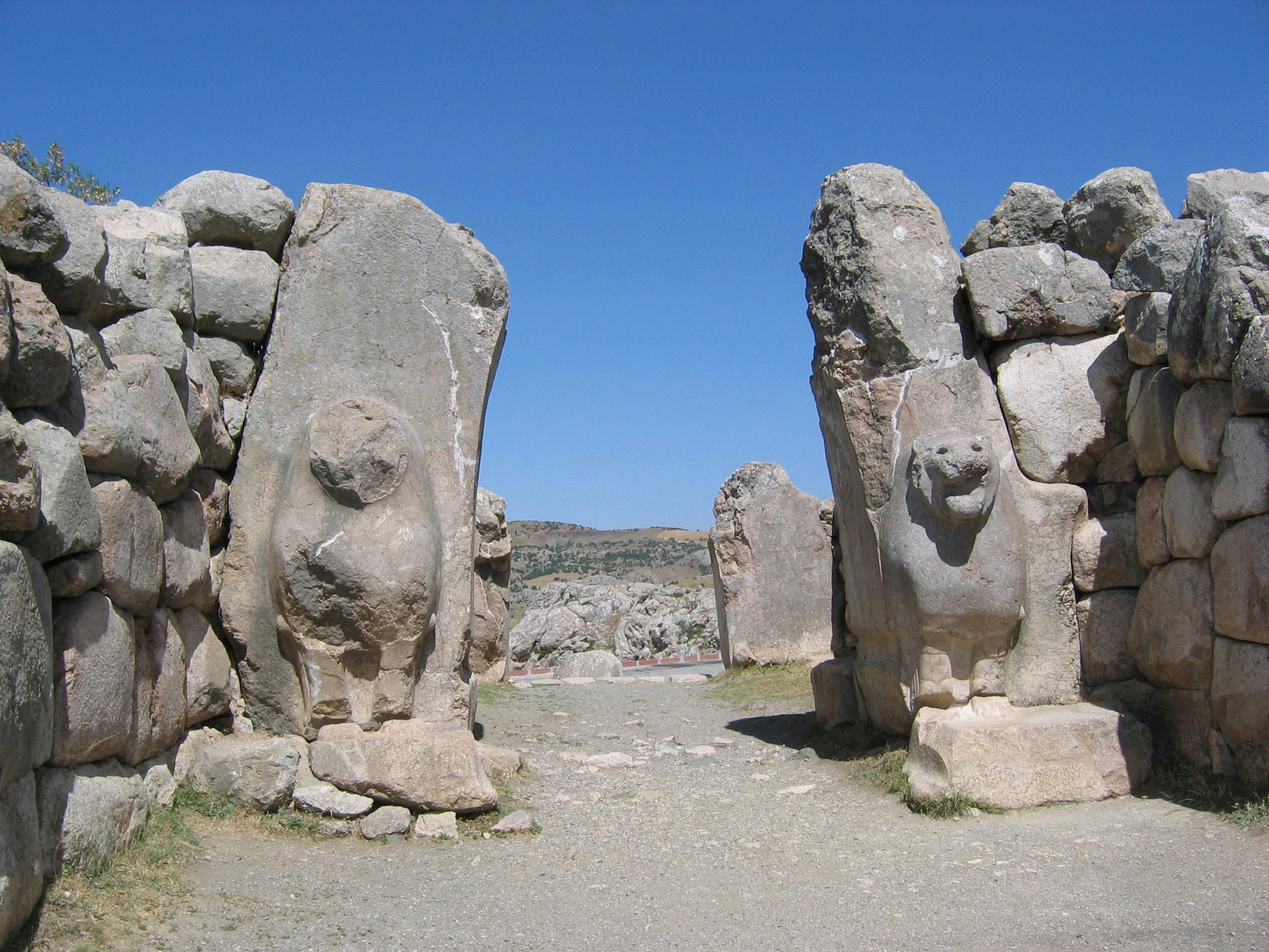 Tree study shows how drought may have doomed ancient Hittite empire ...