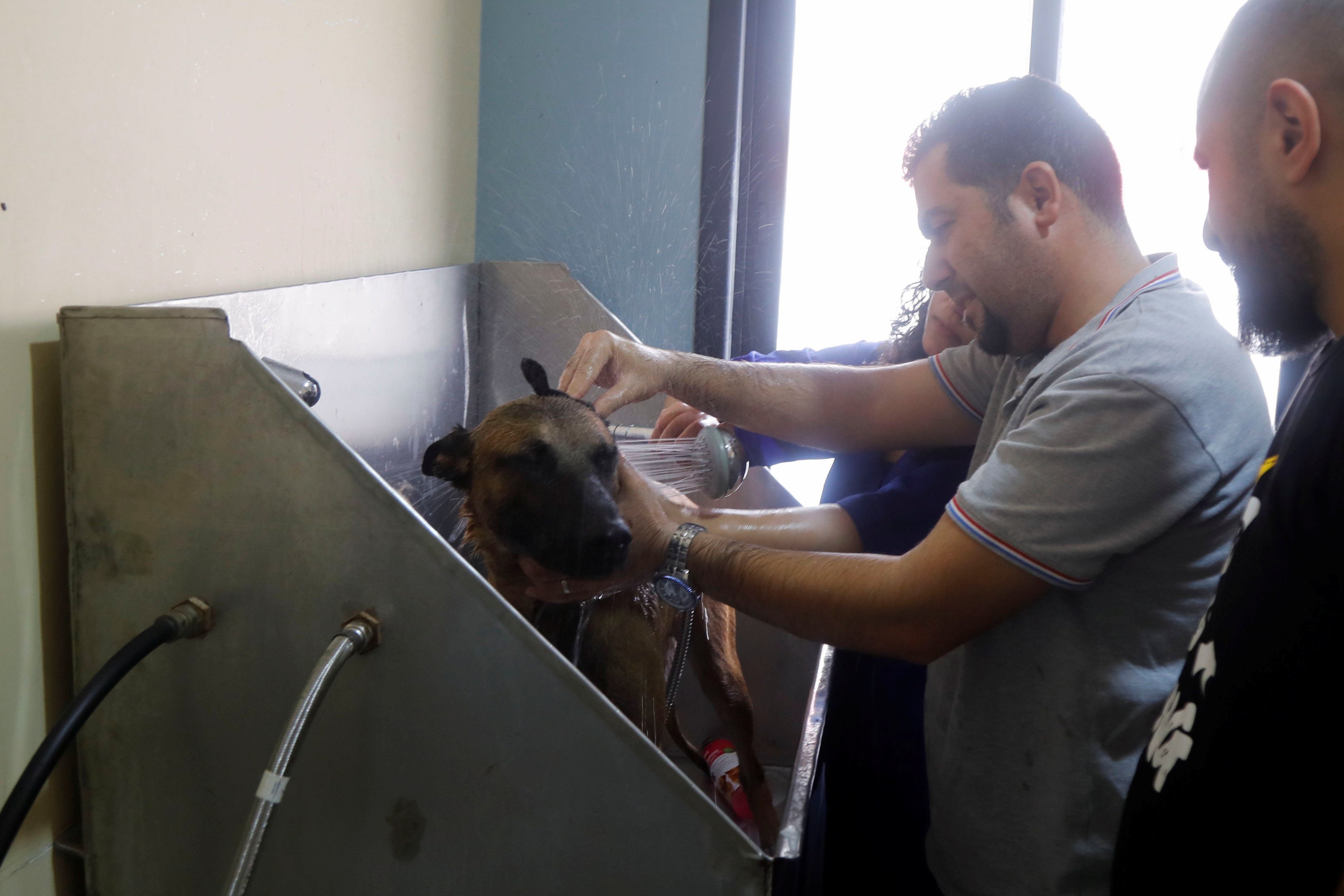 Pets enjoy some pampering in Palestinian clinic | Reuters