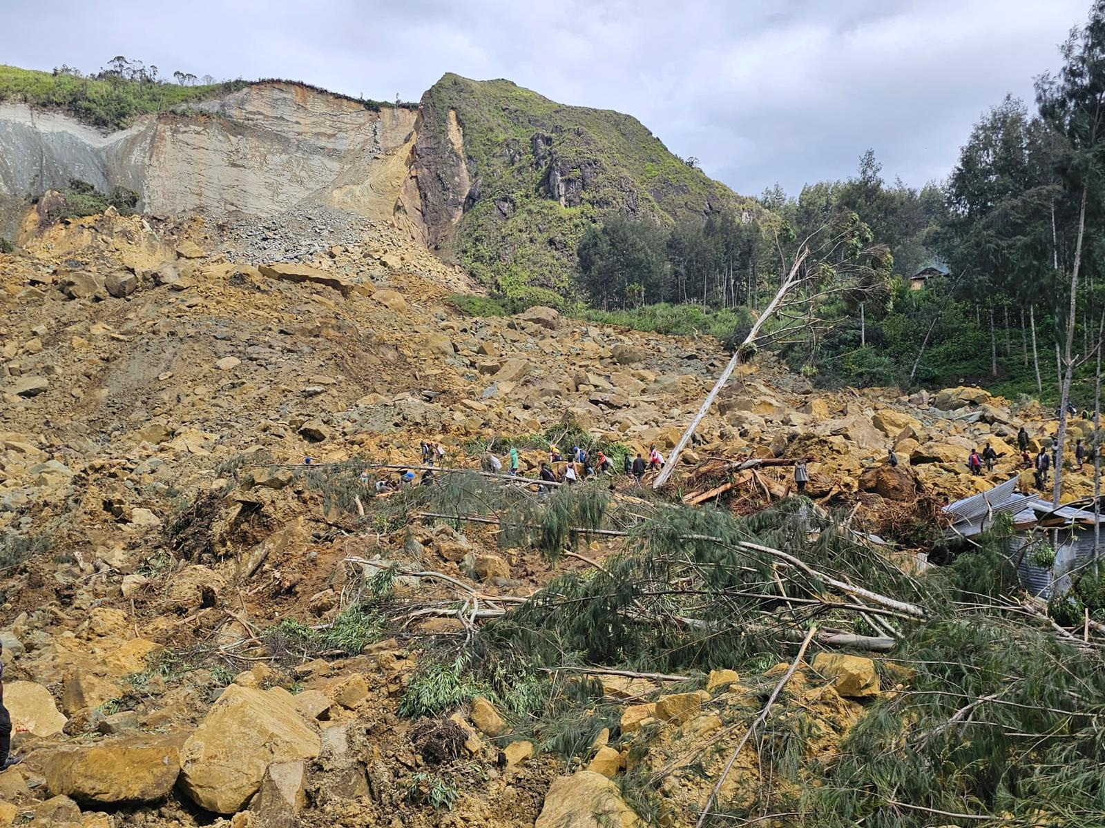'A mountain fell on them' says rescue worker at PNG landslide site | Reuters