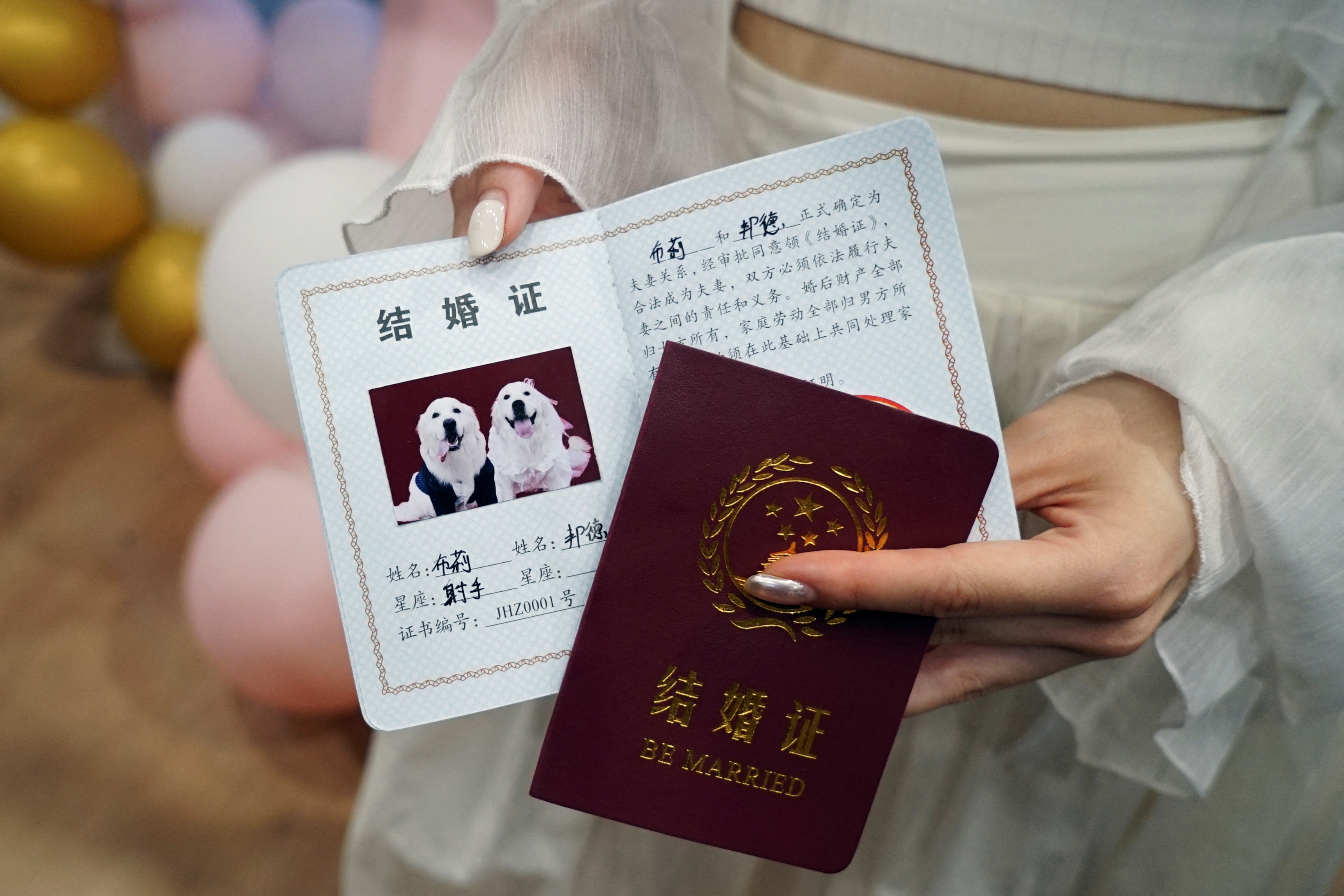 Puppy love: Canine weddings on the rise in China | Reuters