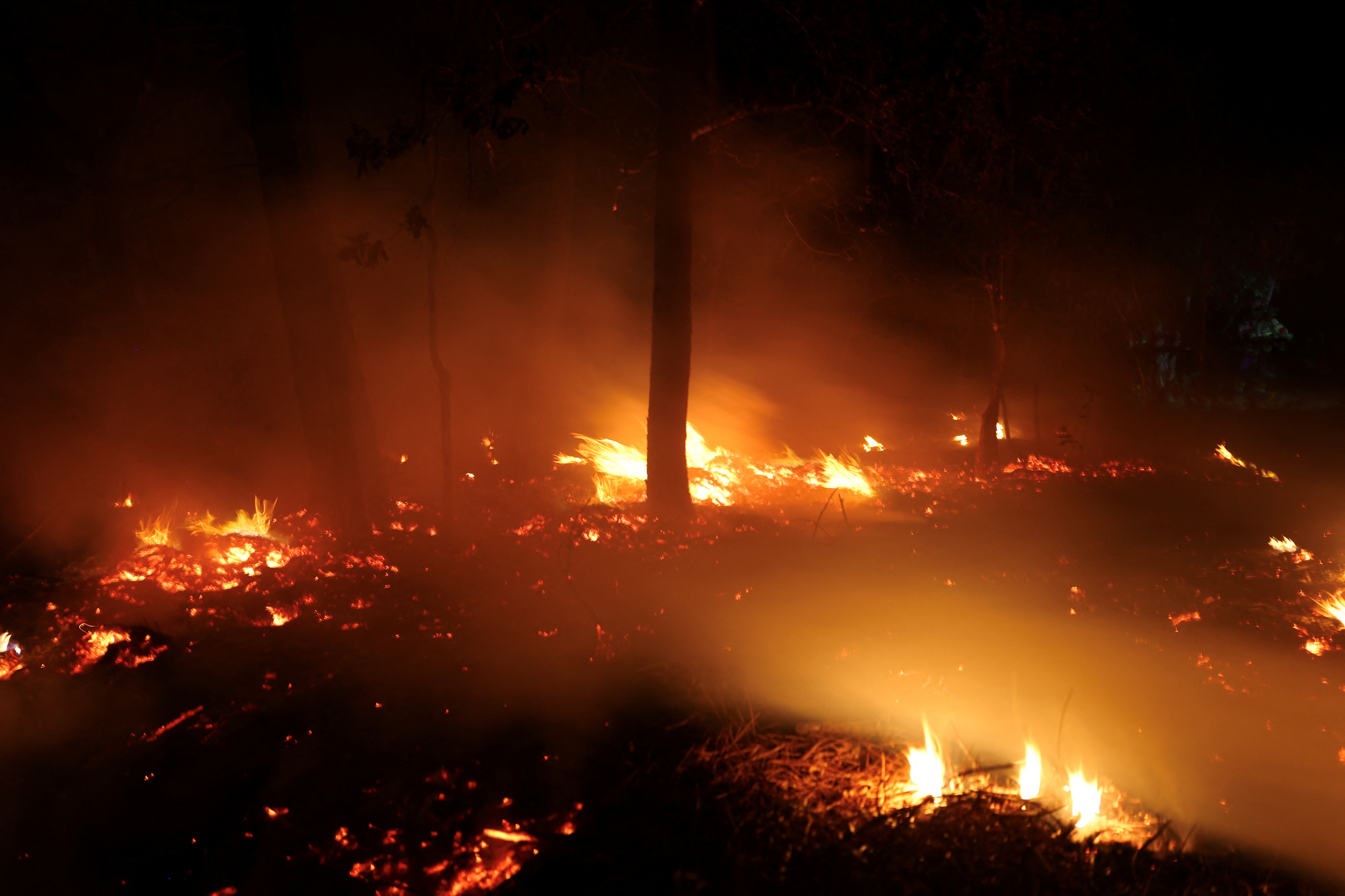 In pictures: Deadly wildfires scorch Portugal - September 17, 2024 ...