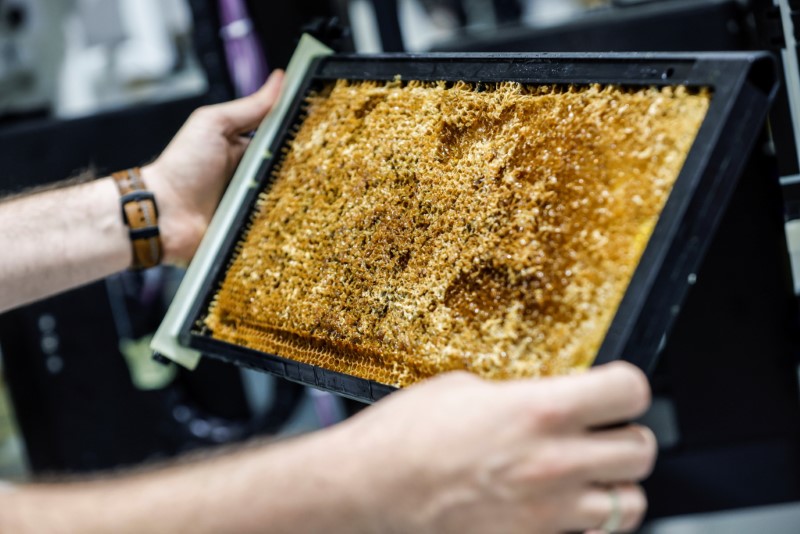 Bees find refuge from perilous world in robotic hive | Reuters