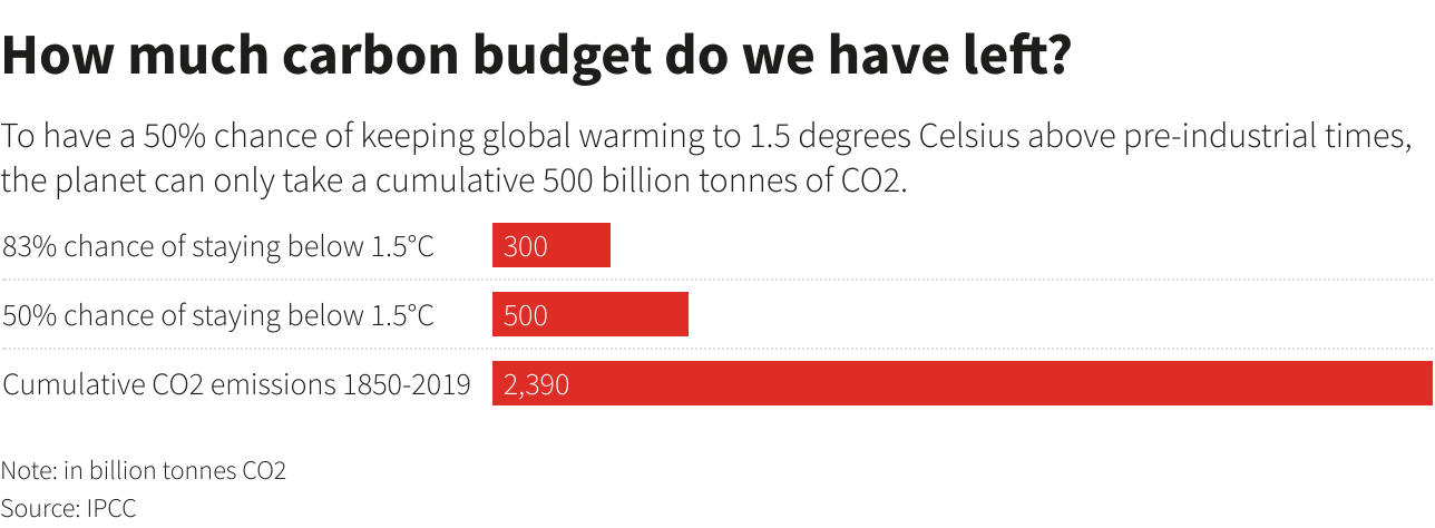 Explainer: Net zero: just patching over emissions or path for saving ...