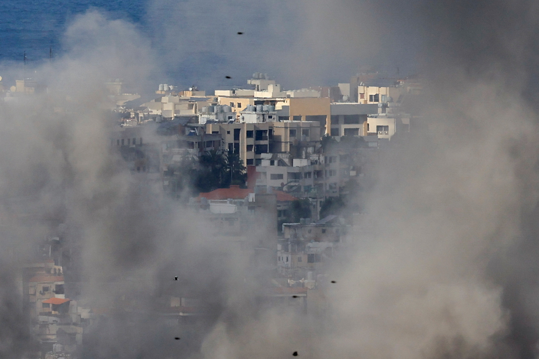 Pictures of the year: Yannis Behrakis