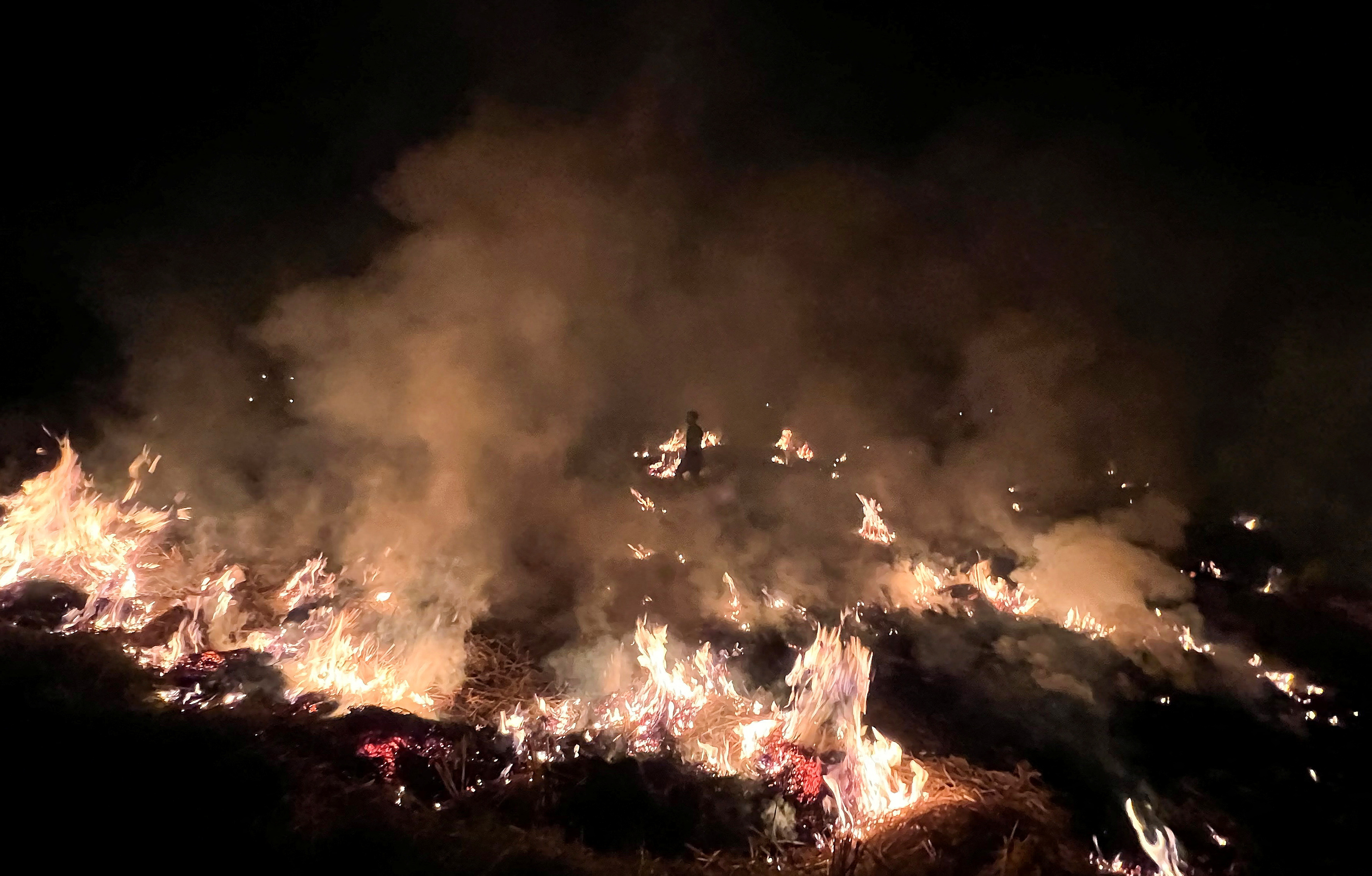 Farmers cite lack of options as stubble burning turns air toxic in ...