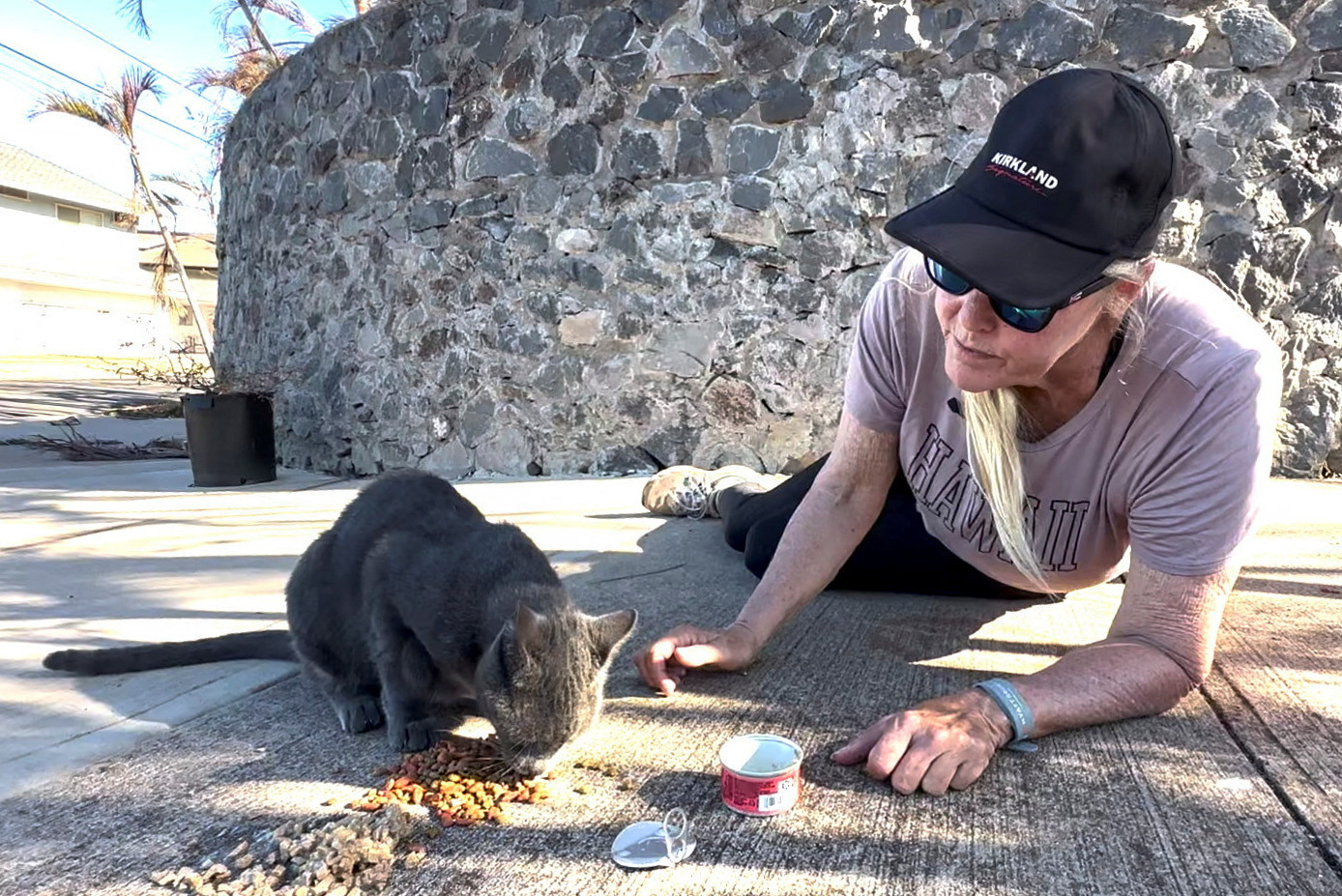 In Lahaina, one resident's daily trip to her burnt-out home to feed her ...