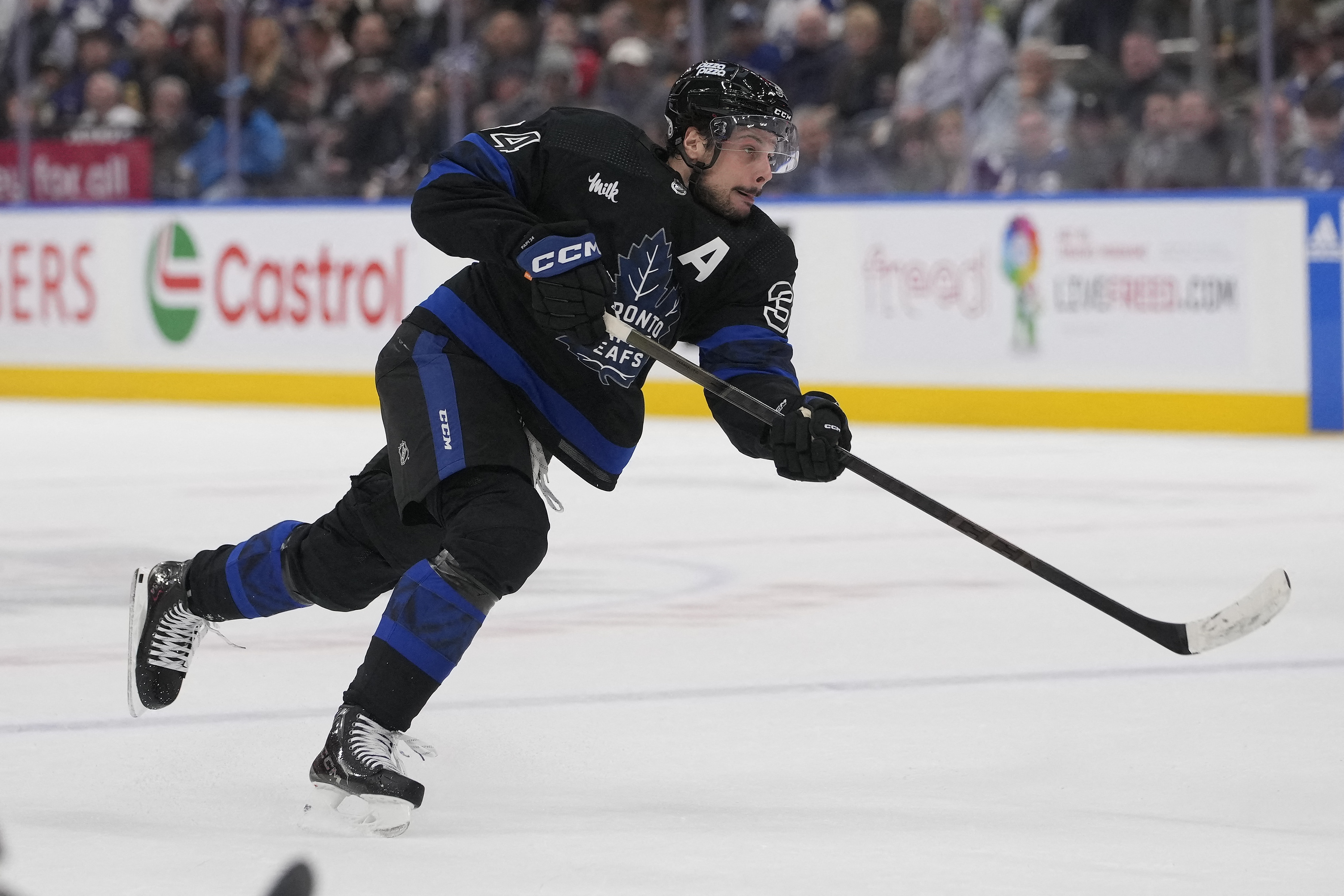 Tyler Bertuzzi, Leafs too much for Caps to handle | Reuters