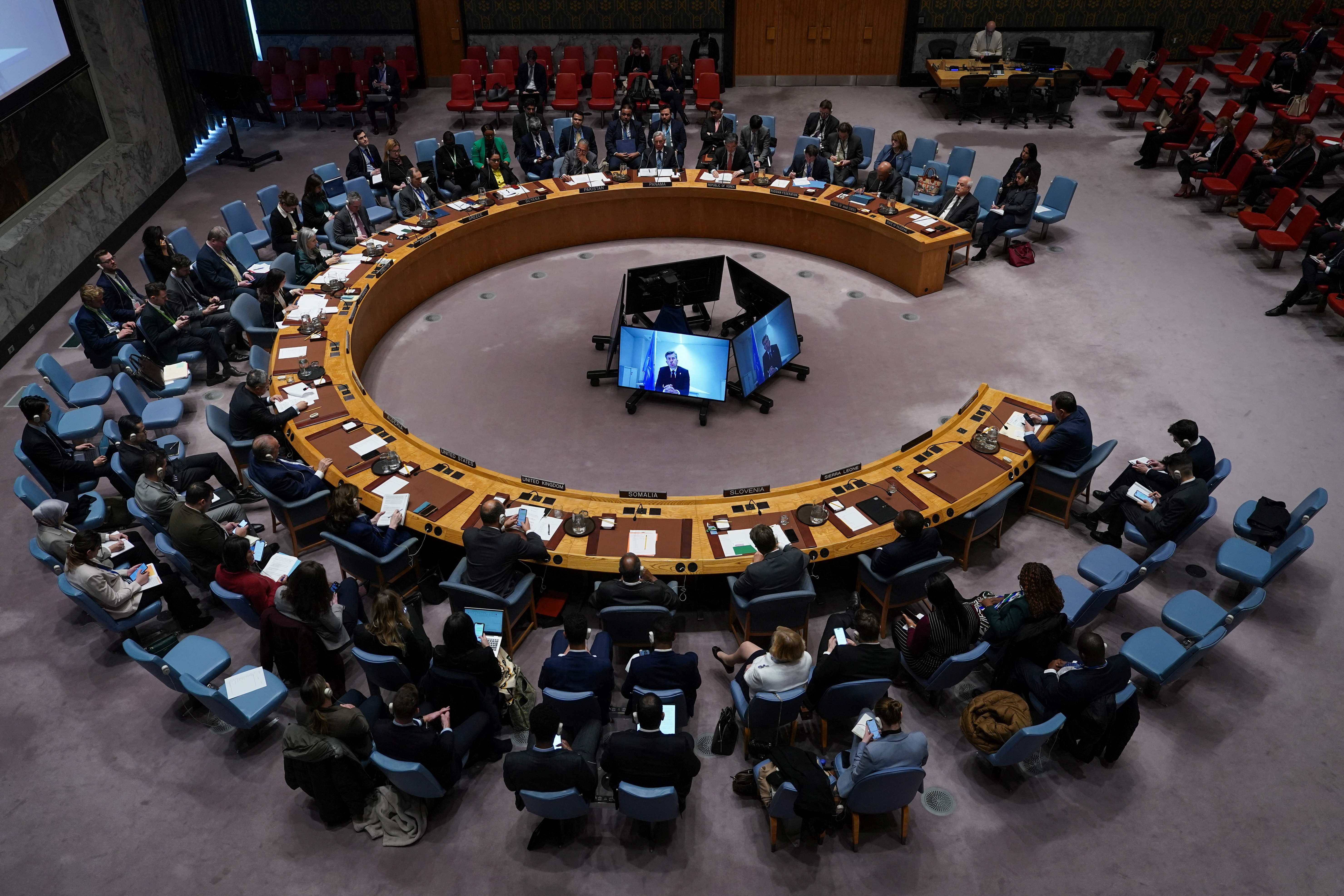 United Nations Security Council