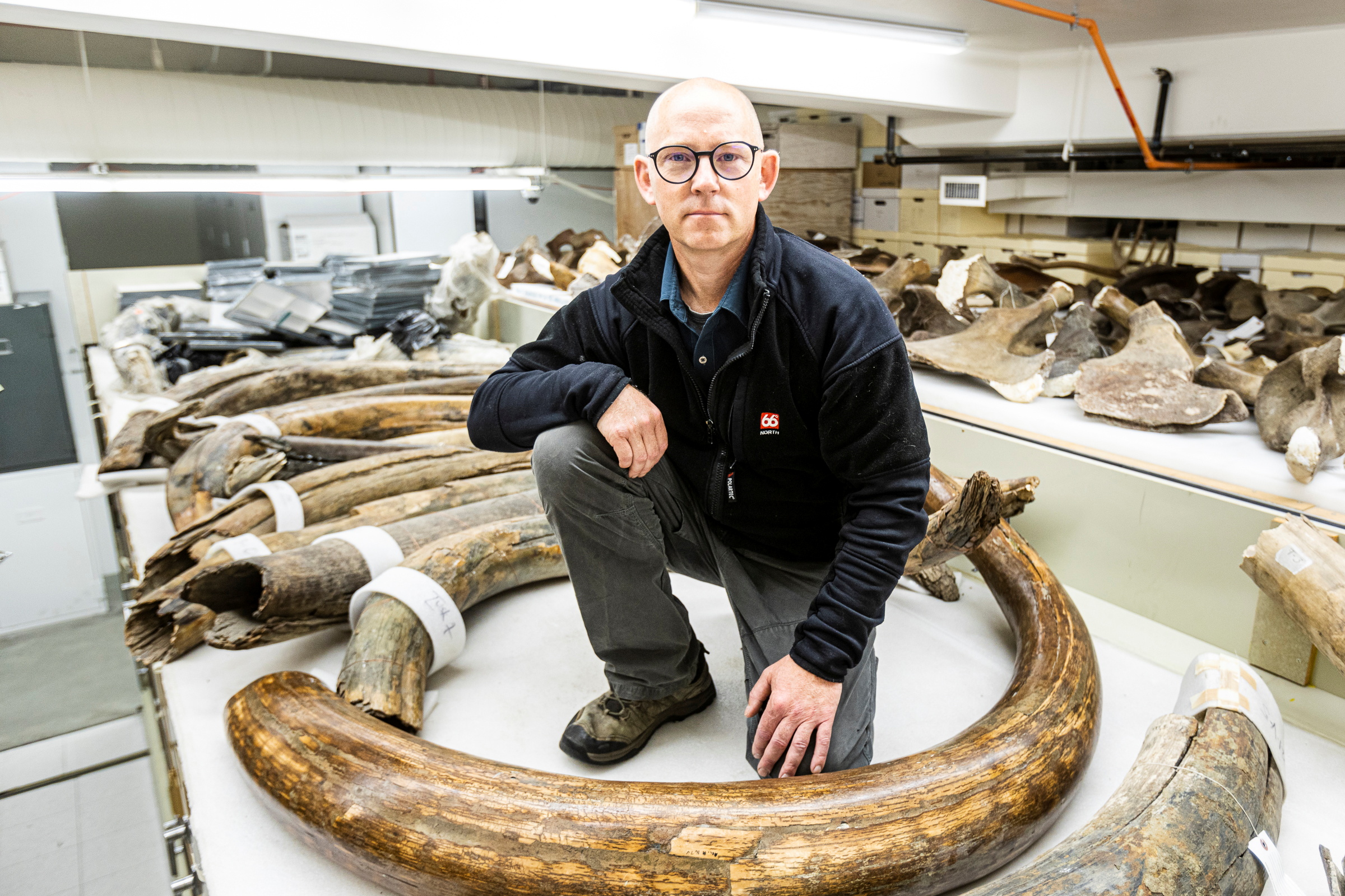Life-cycle of Alaskan wooly mammoth documented in new analysis of his ...