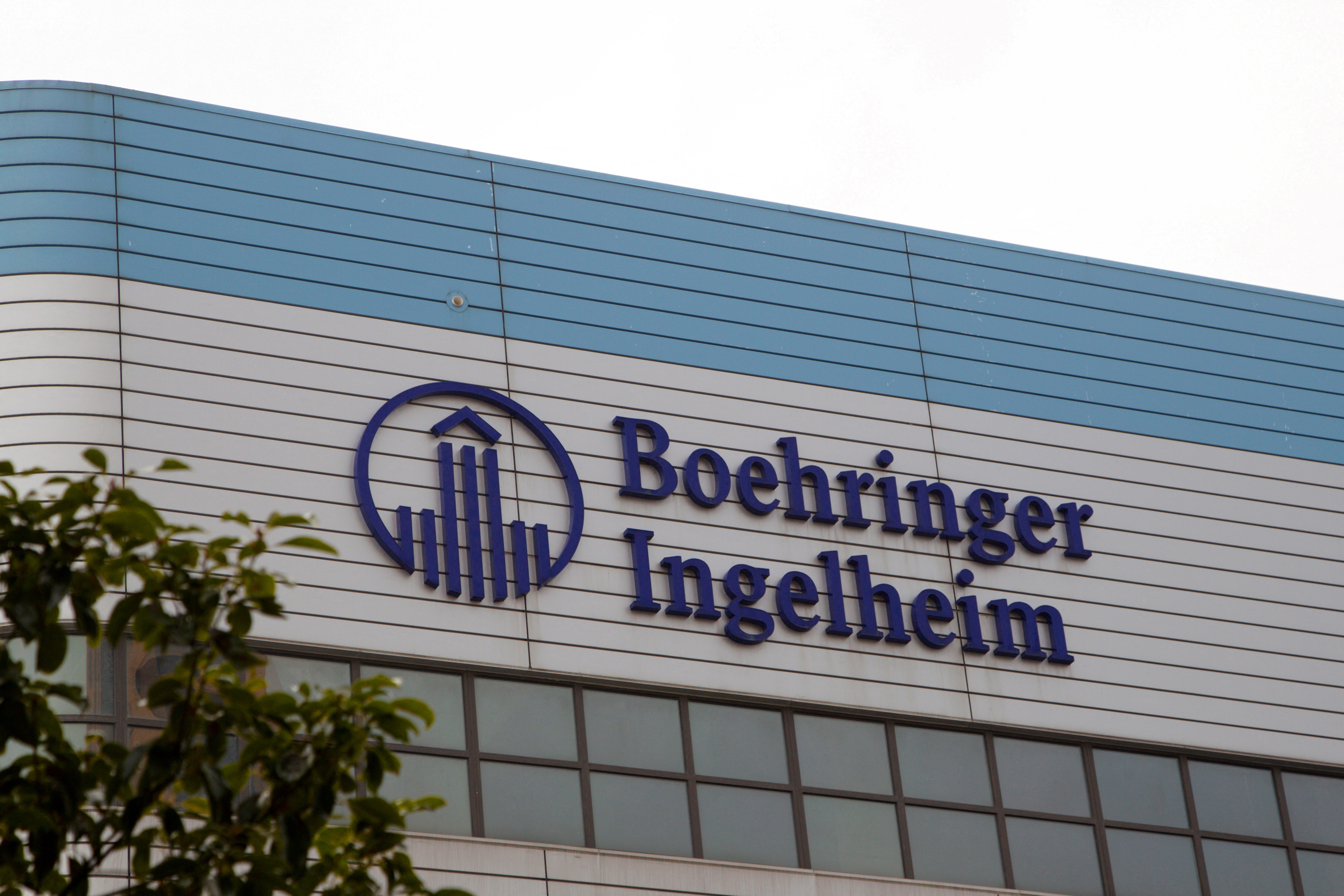 Zealand, Boehringer win FDA breakthrough status to treat fatty liver ...