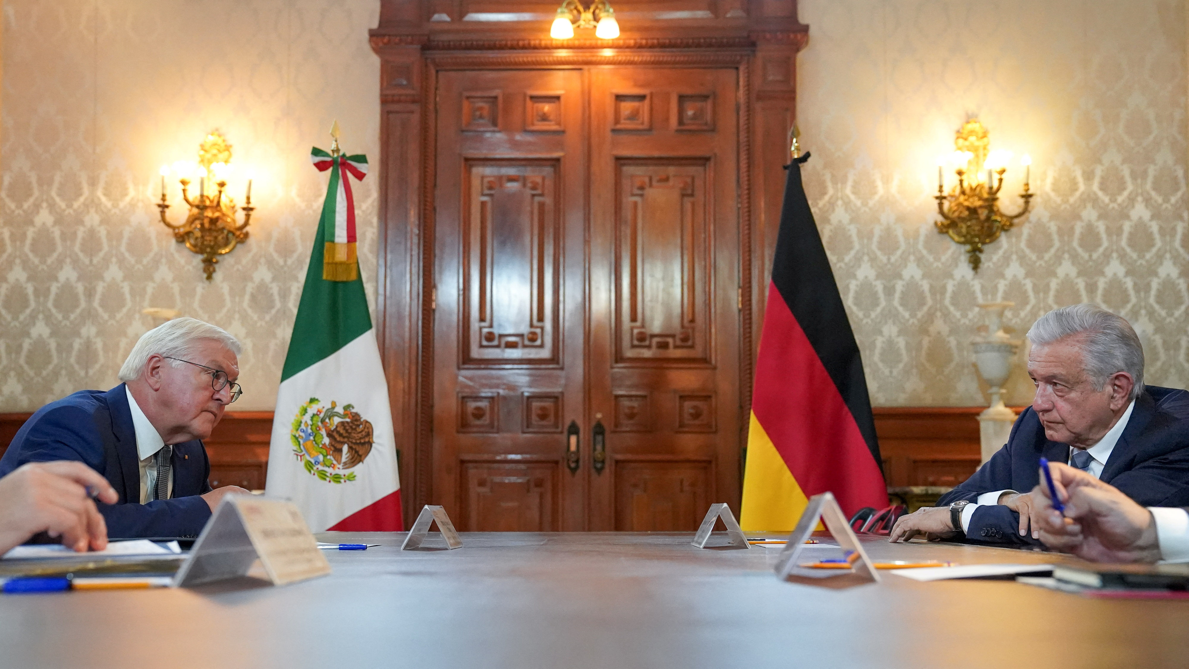 German president urges Mexico to stand against Russian invasion | Reuters