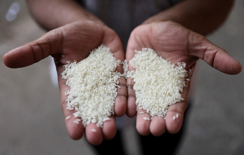 Malaysia to request additional 500,000 metric tons of white rice from ...