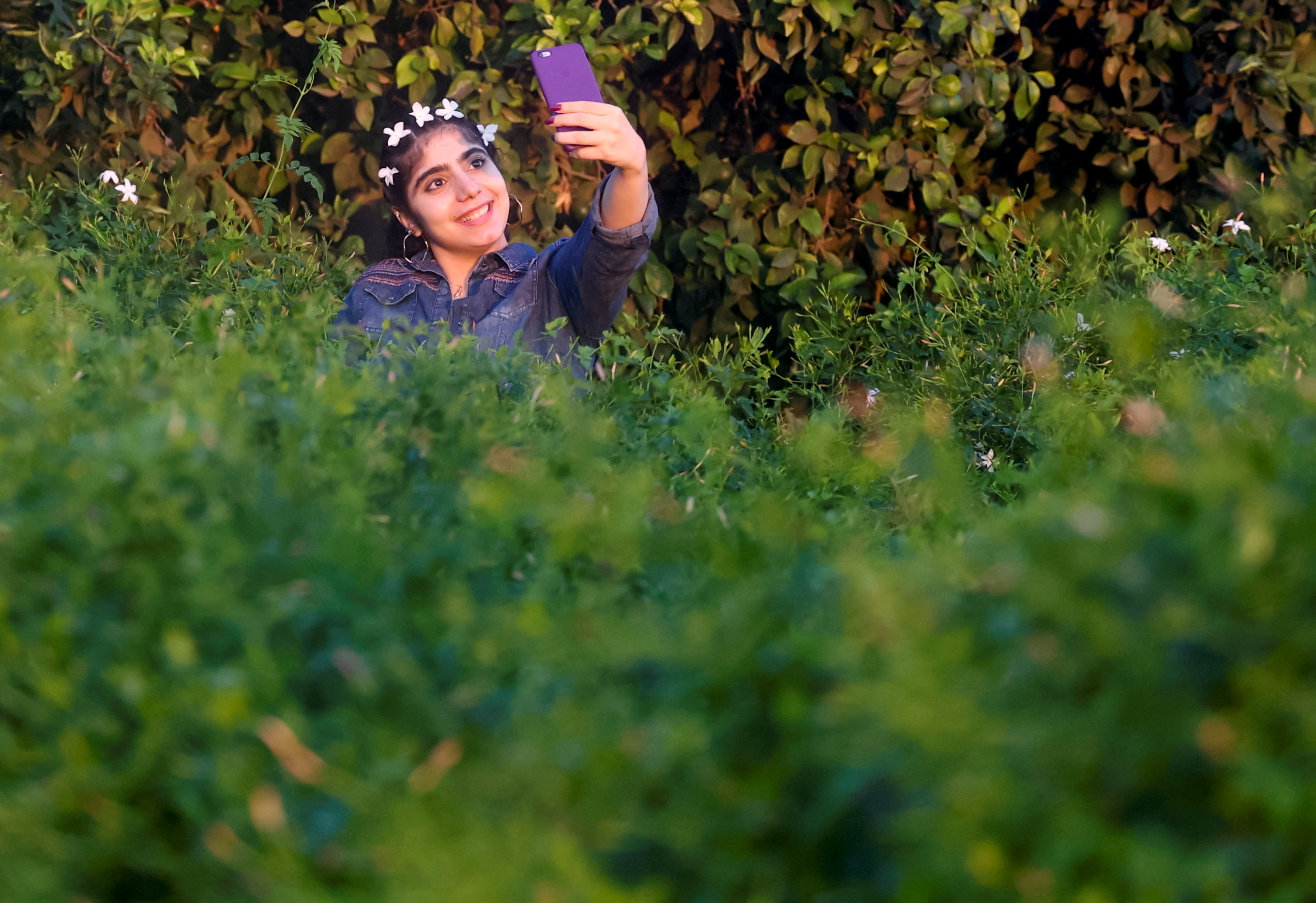 Egypt's jasmine farmers struggle through economic headwinds | Reuters