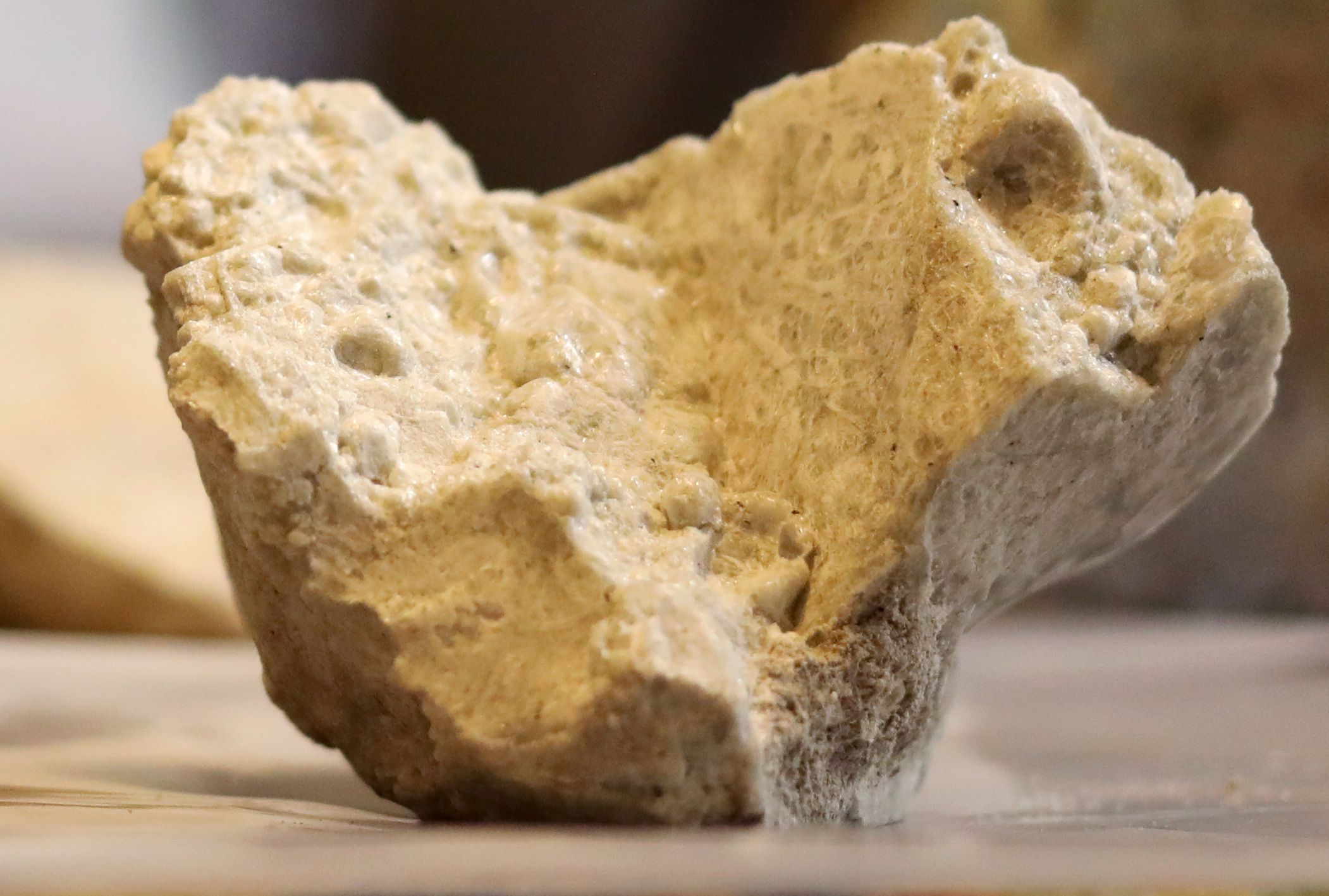 Peru wants to seize lithium 'window of opportunity,' says minister ...