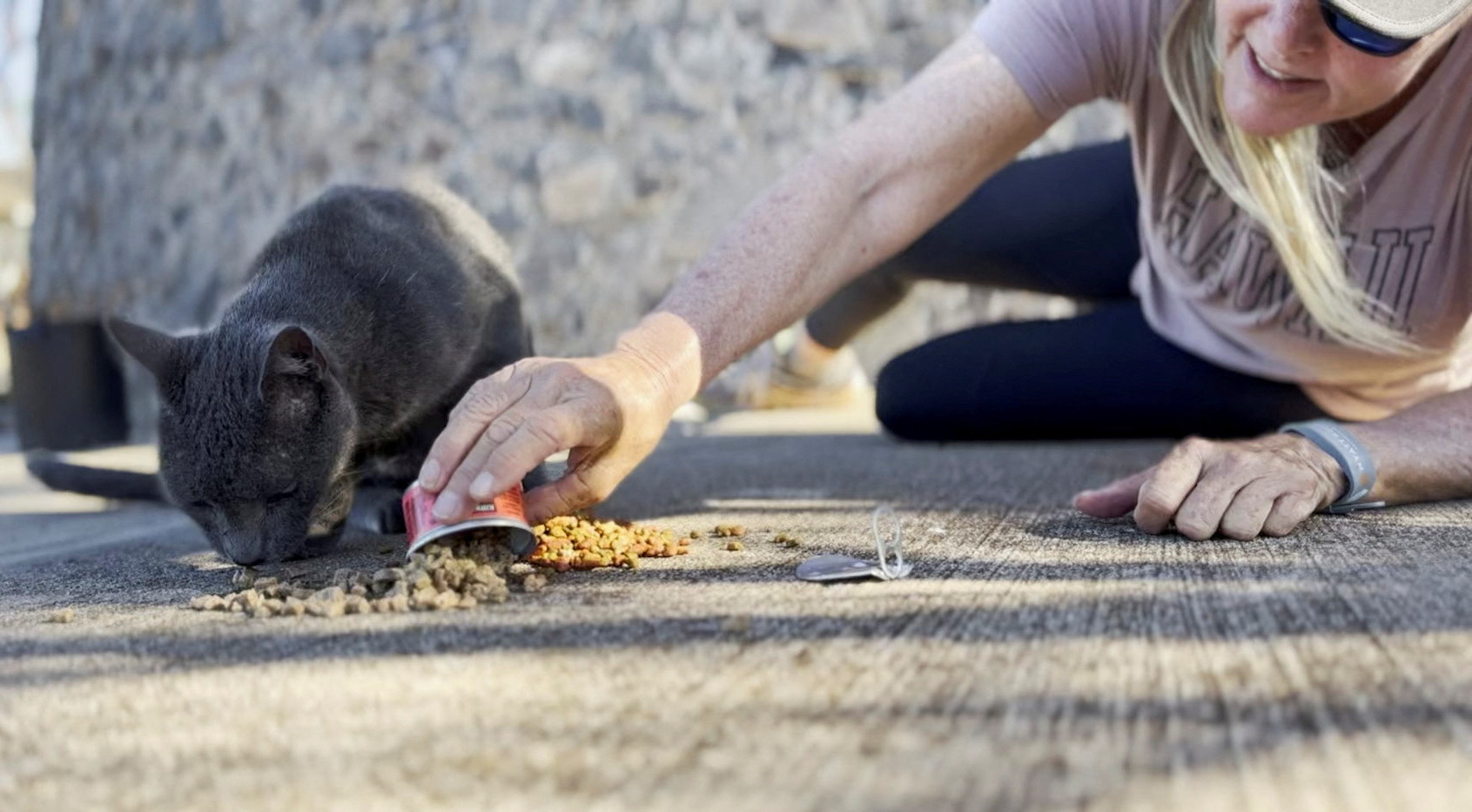In Lahaina, one resident's daily trip to her burnt-out home to feed her ...