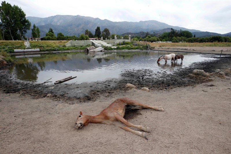 Chile's record-breaking drought makes climate change 'very easy' to see ...