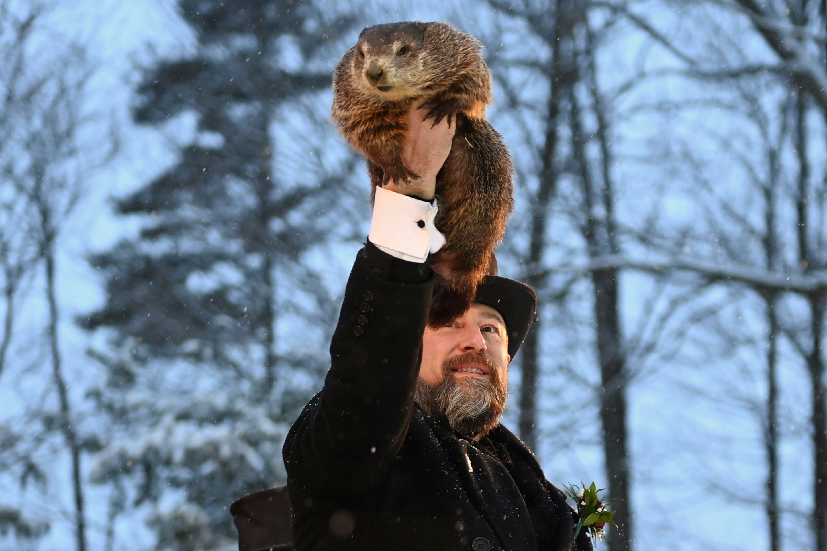 On Groundhog Day, Punxsutawney Phil predicts an early spring | Reuters