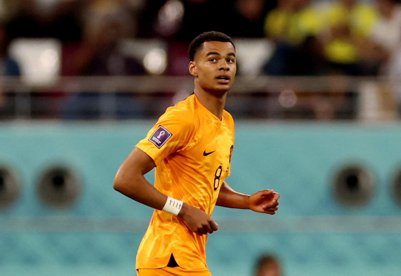 Gakpo flattered by transfer speculation but wants to focus on Qatar ...