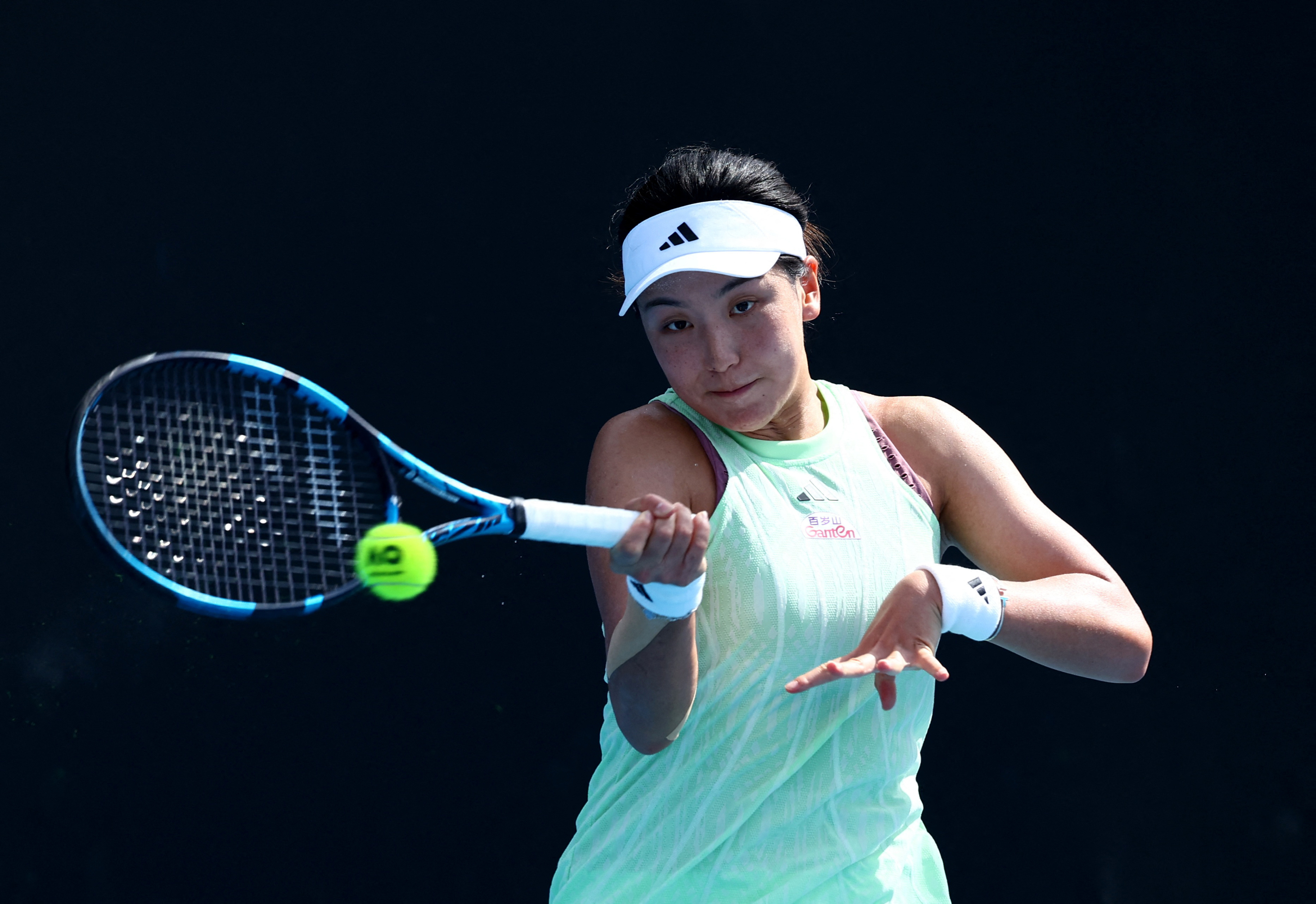 WTA roundup: Top 5 seeds breeze through in Austria | Reuters