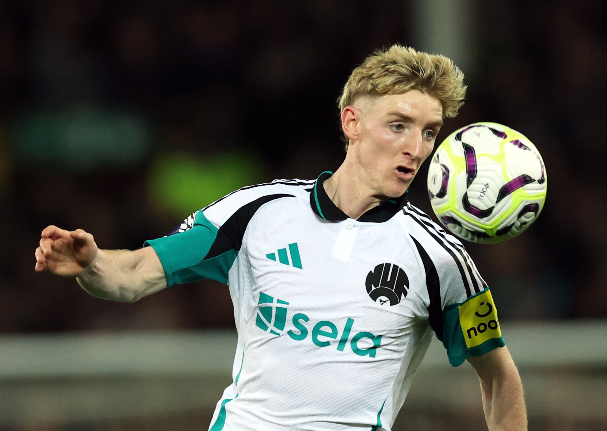 Gordon penalty agony as Newcastle held by Everton | Reuters